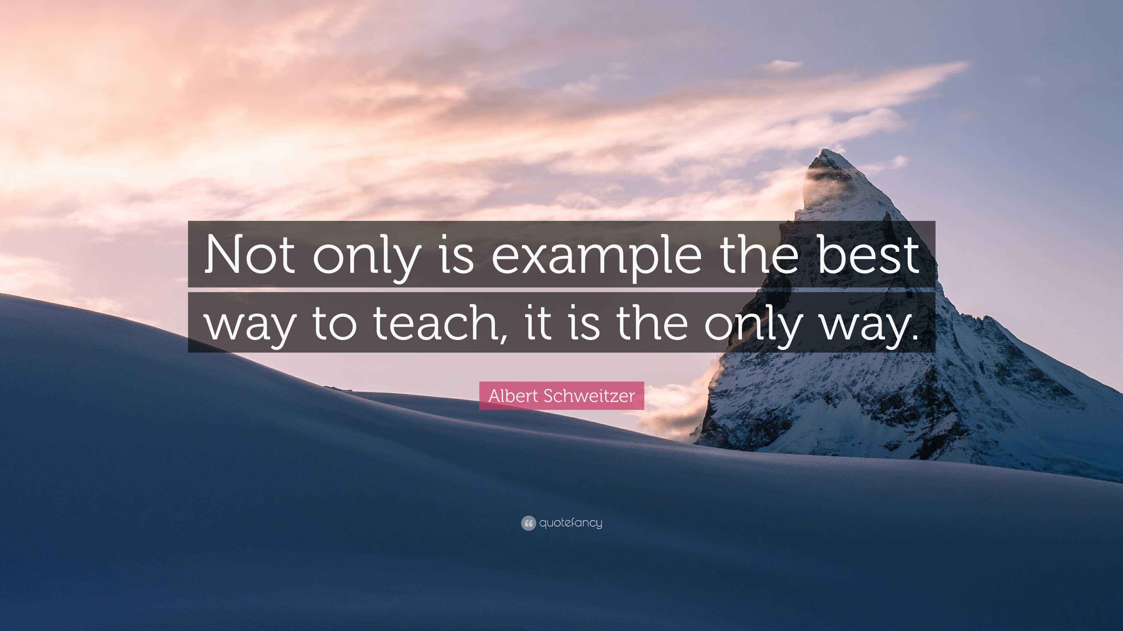 Albert Schweitzer Quote: “Not only is example the best way to teach, it ...