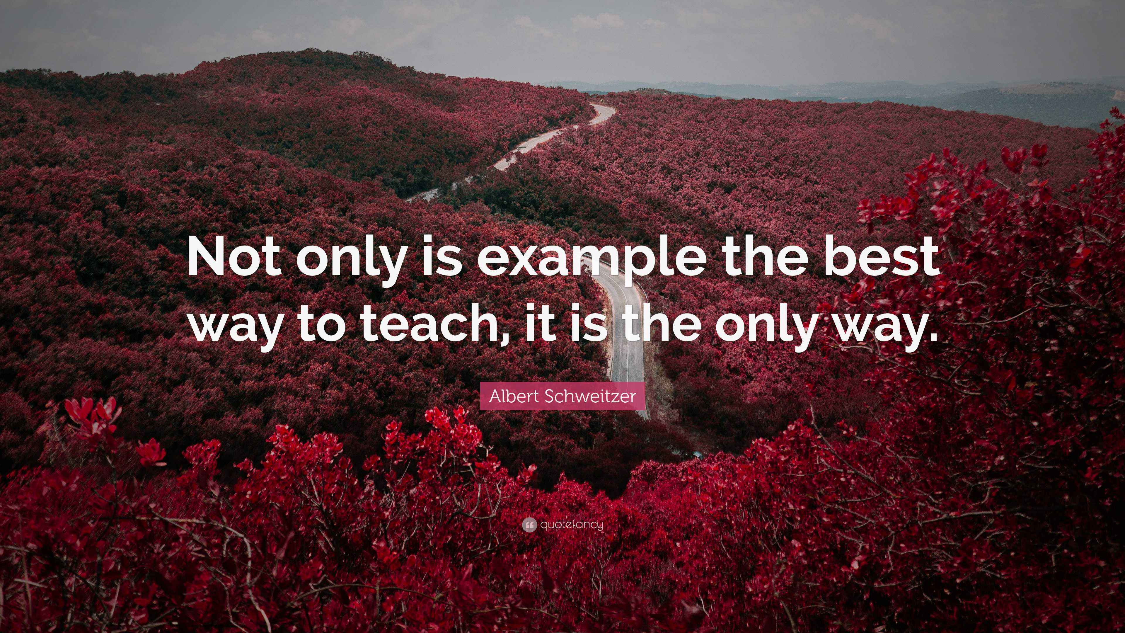 Albert Schweitzer Quote: “Not only is example the best way to teach, it ...