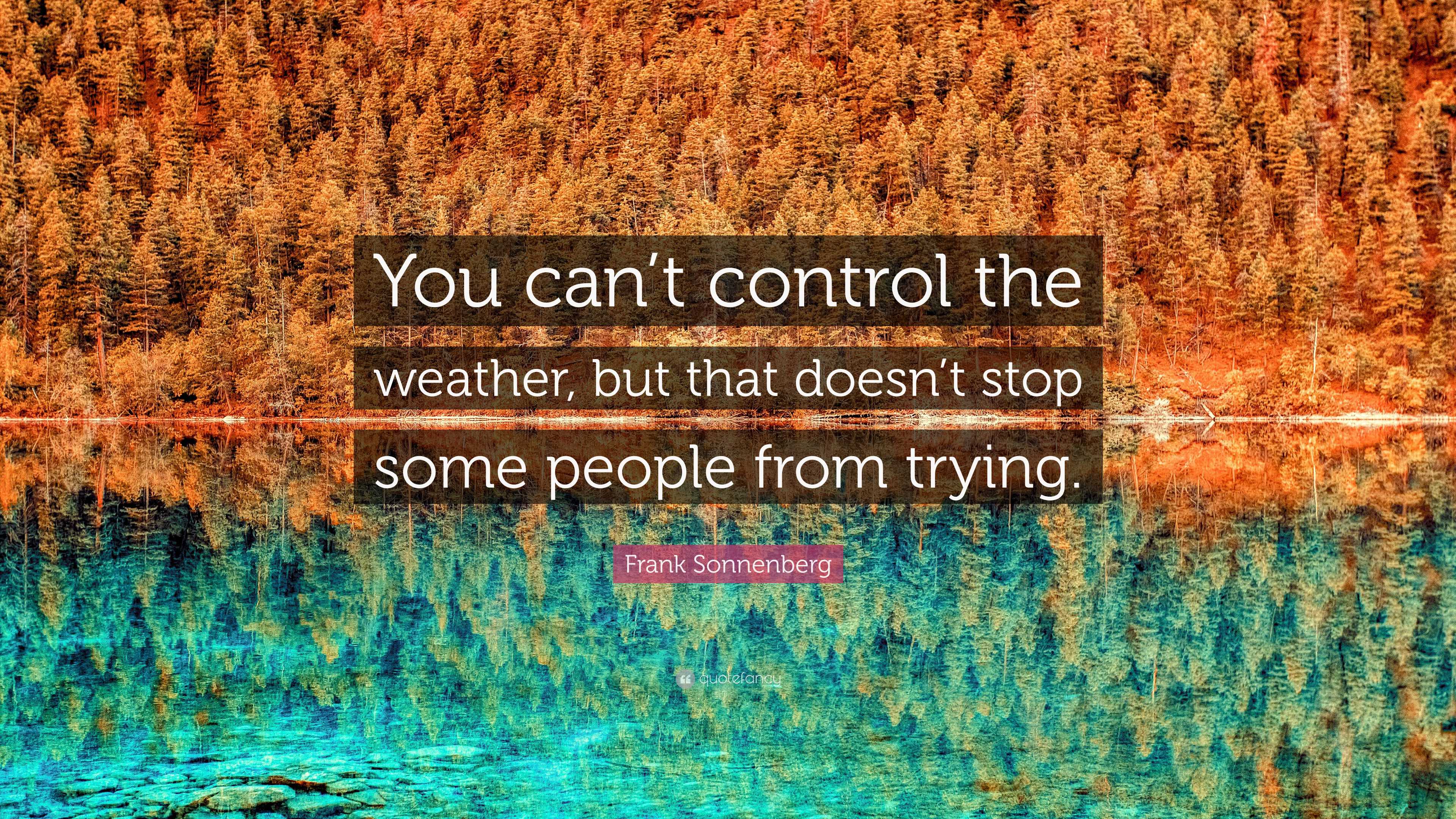 Frank Sonnenberg Quote: “You can’t control the weather, but that doesn ...