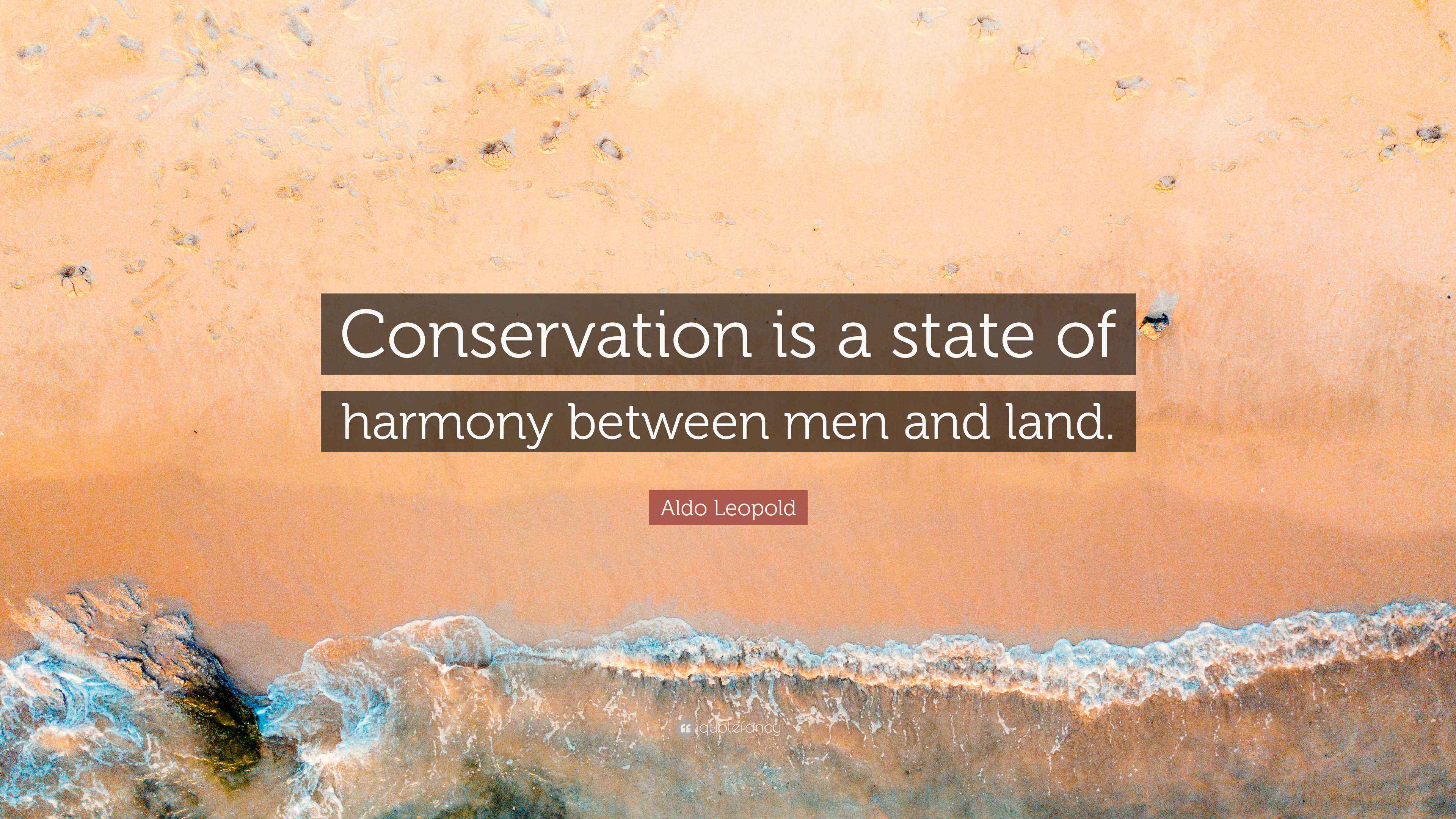 Aldo Leopold Quote: “Conservation is a state of harmony between men and ...
