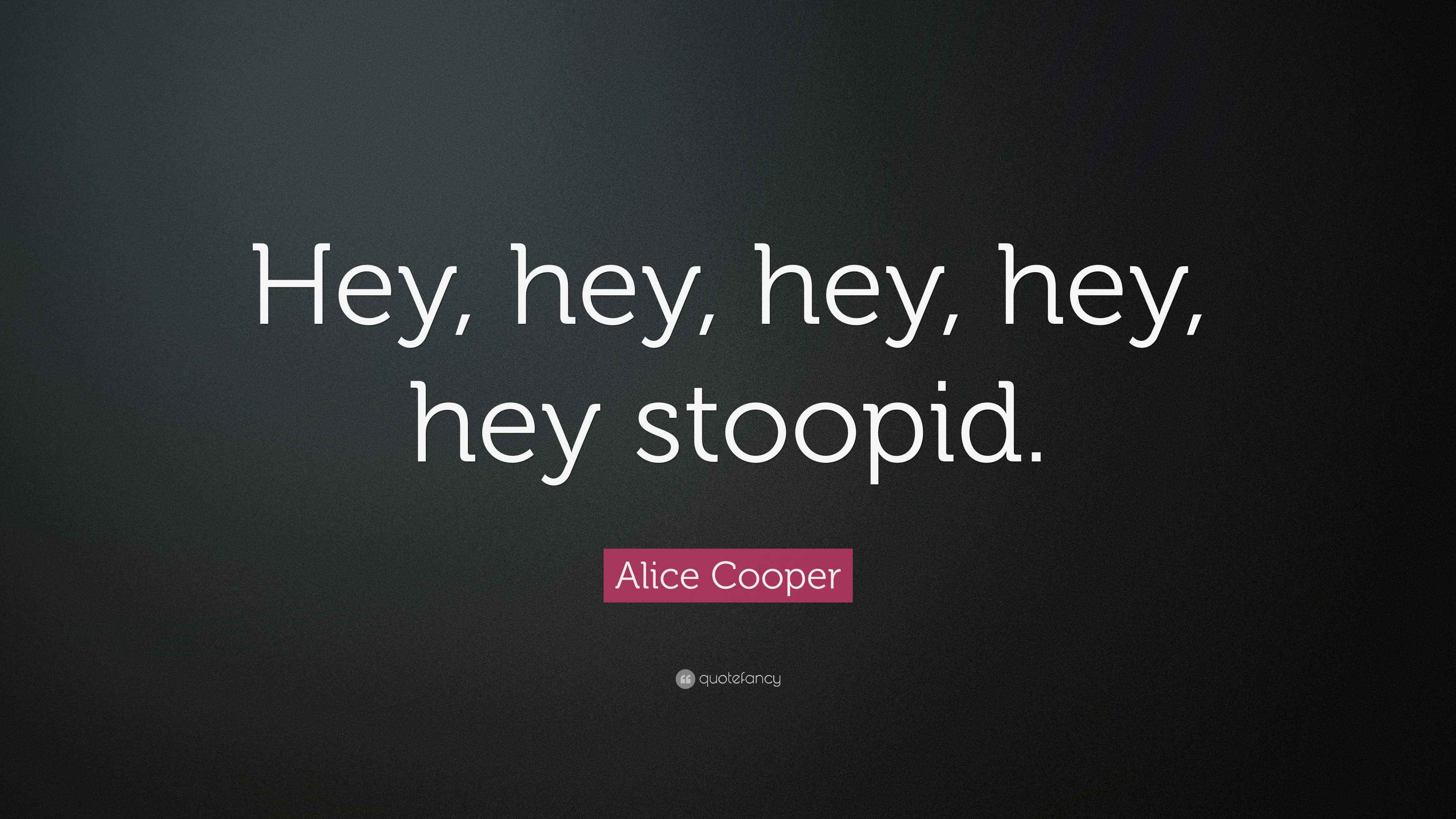 Alice Cooper Quote: “Hey, hey, hey, hey, hey stoopid.”