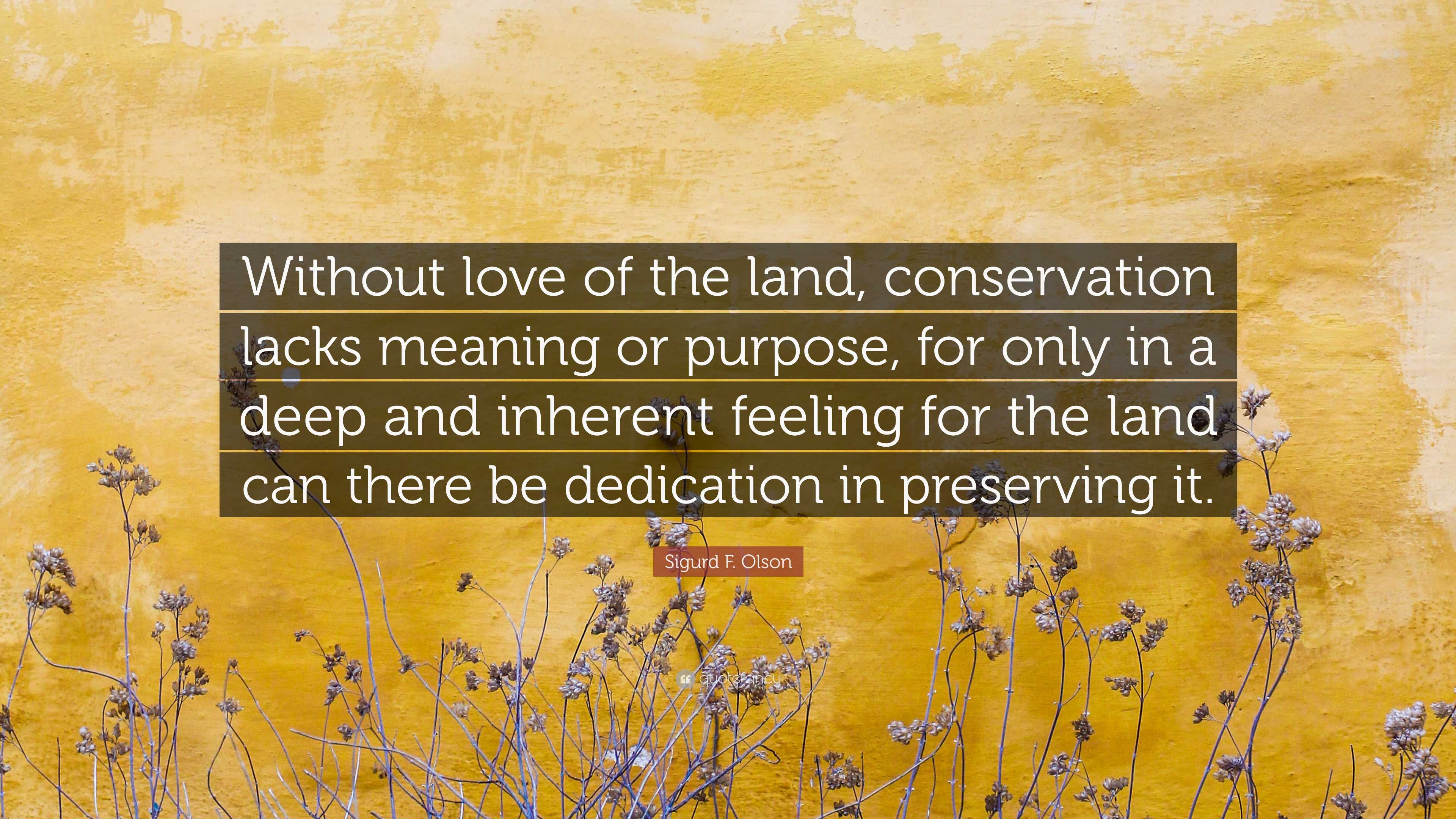 Sigurd F. Olson Quote: “Without love of the land, conservation lacks ...
