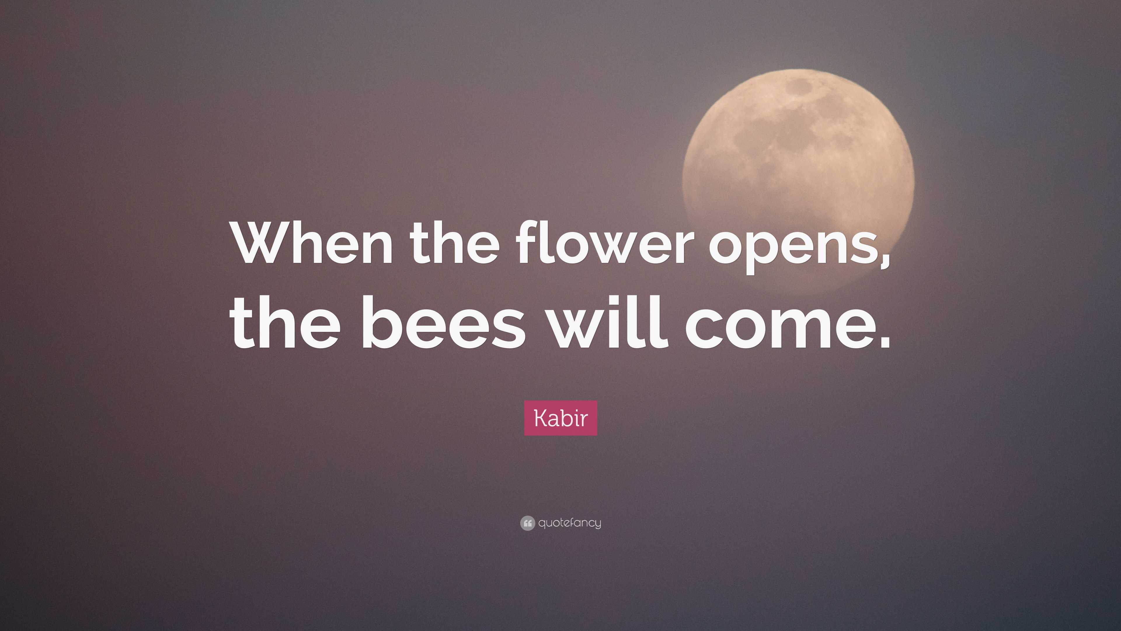 Kabir Quote: “When the flower opens, the bees will come.”