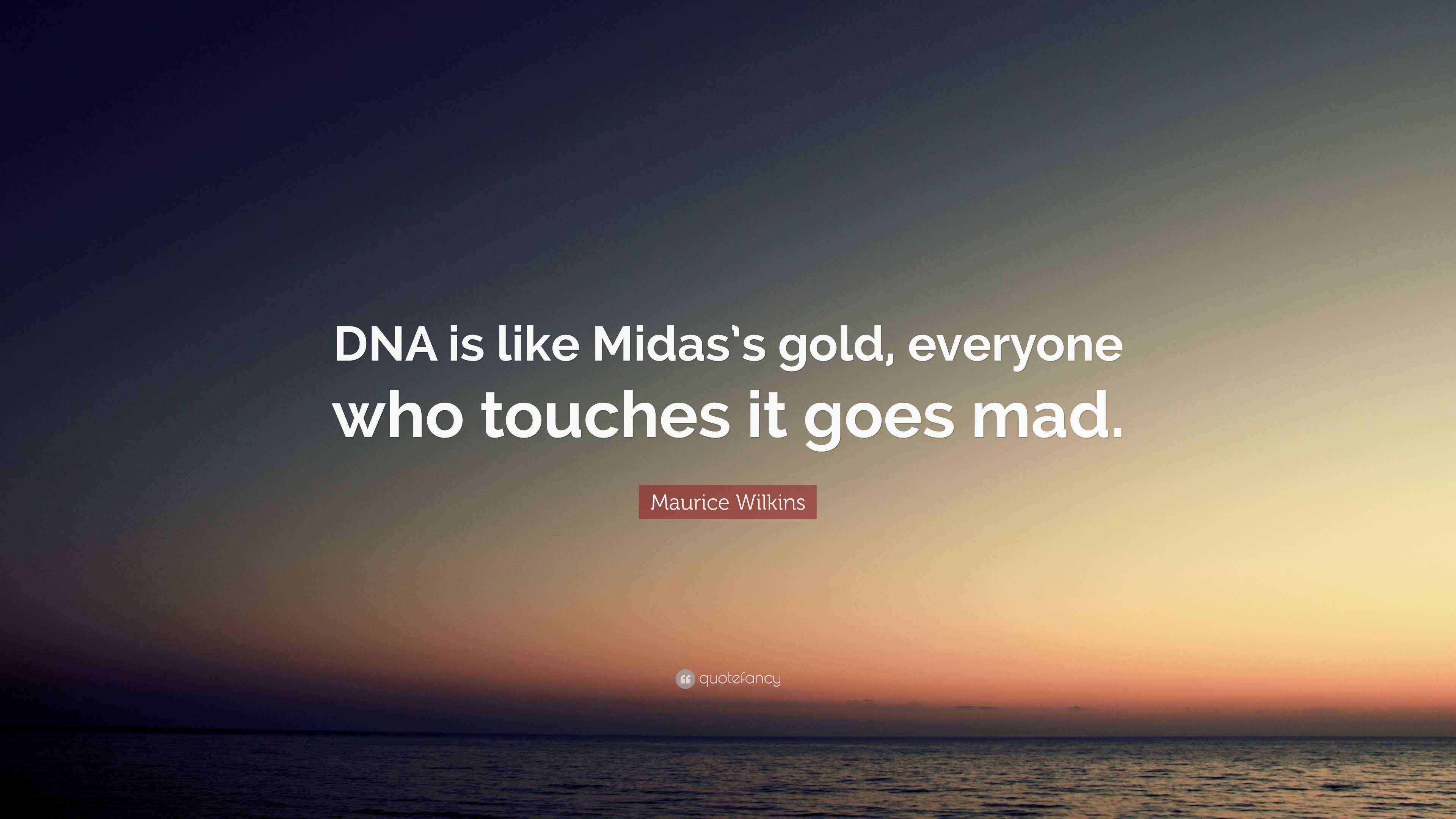 Maurice Wilkins Quote: “DNA is like Midas’s gold, everyone who touches ...