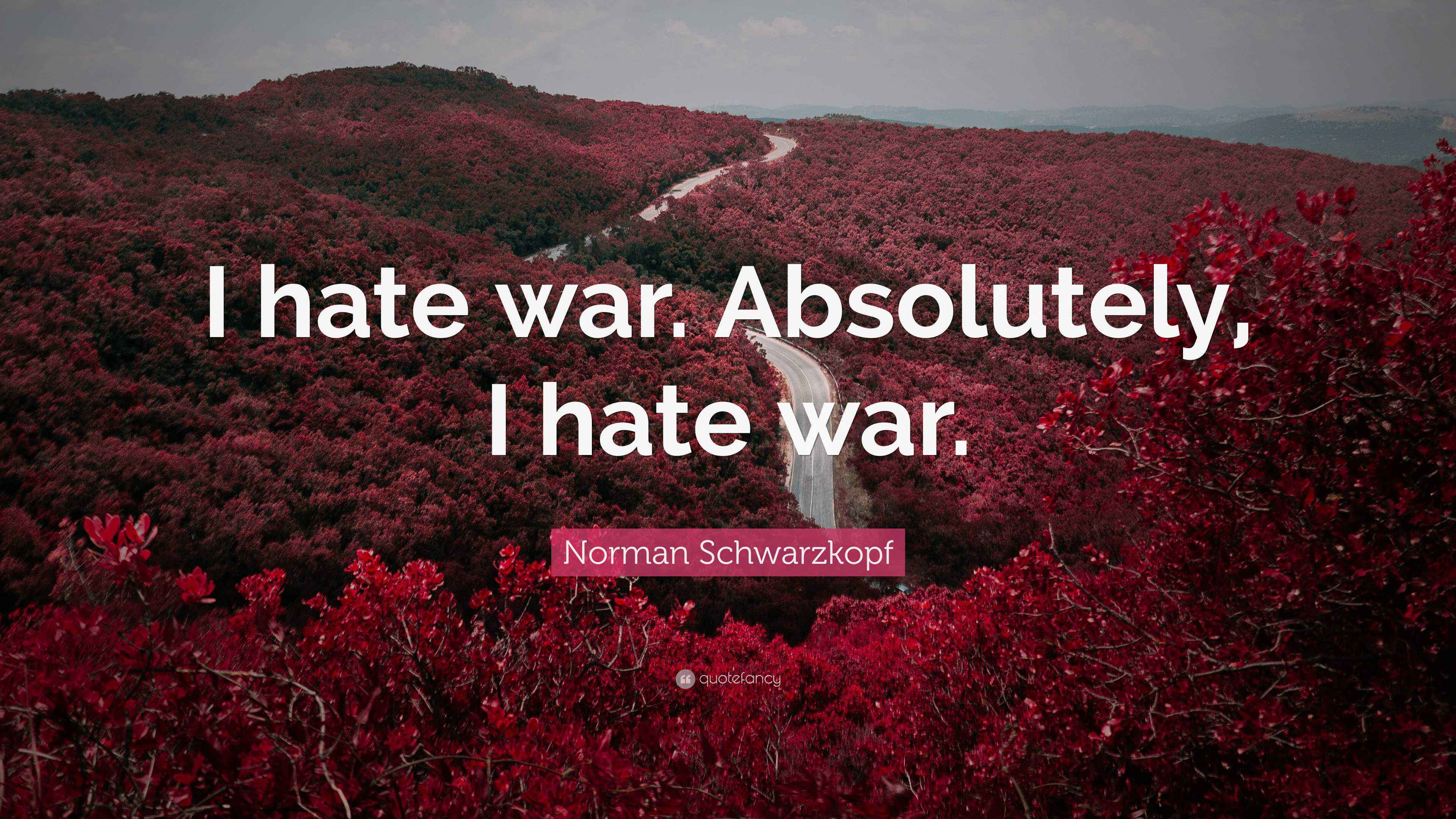 Norman Schwarzkopf Quote: “I hate war. Absolutely, I hate war.”
