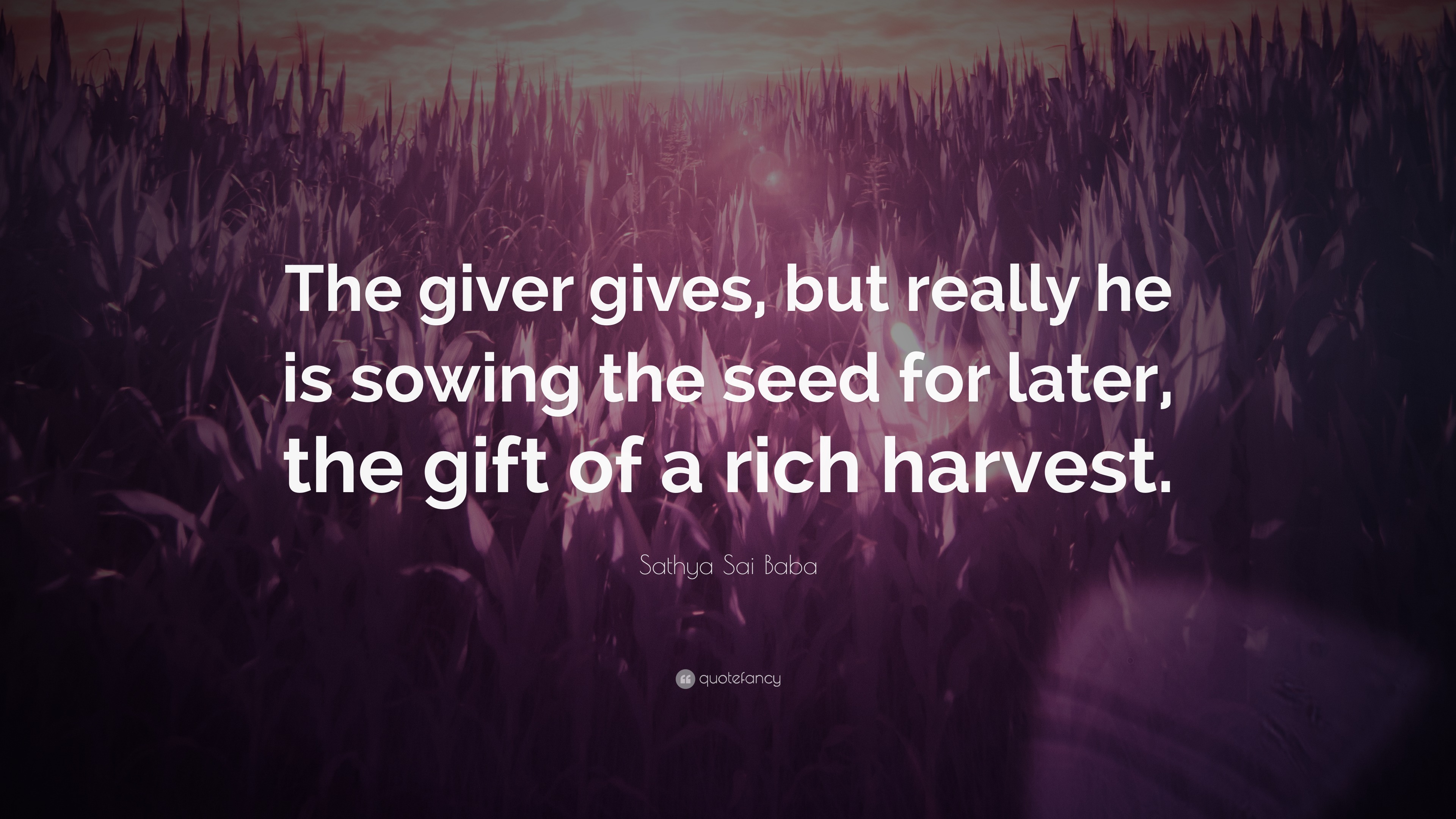Sathya Sai Baba Quote: “The giver gives, but really he is sowing the ...