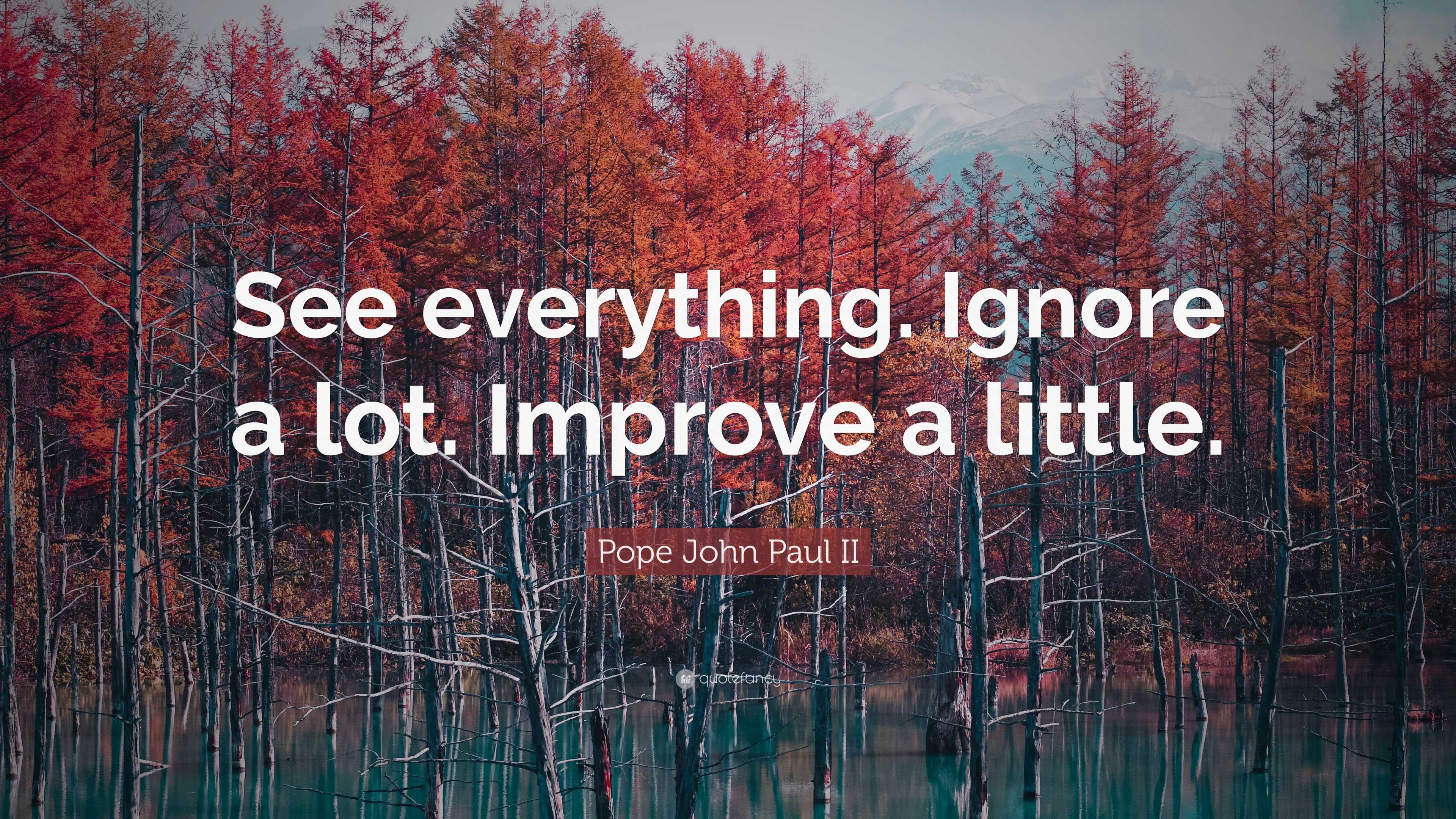 Pope John Paul II Quote: “See everything. Ignore a lot. Improve a little.”