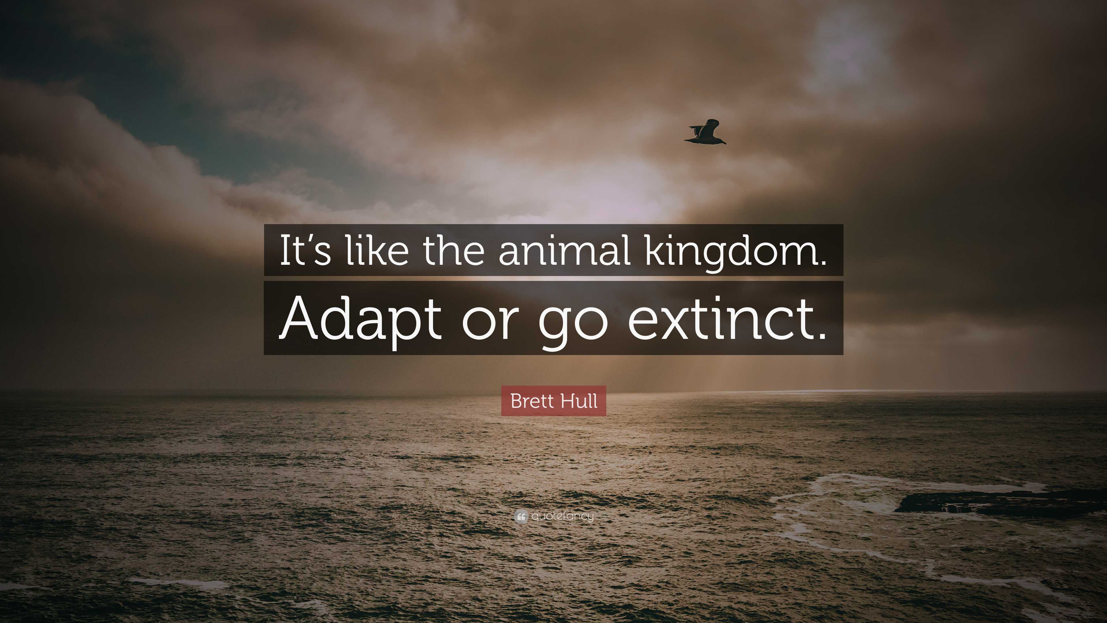 Brett Hull Quote: “It’s like the animal kingdom. Adapt or go extinct.”