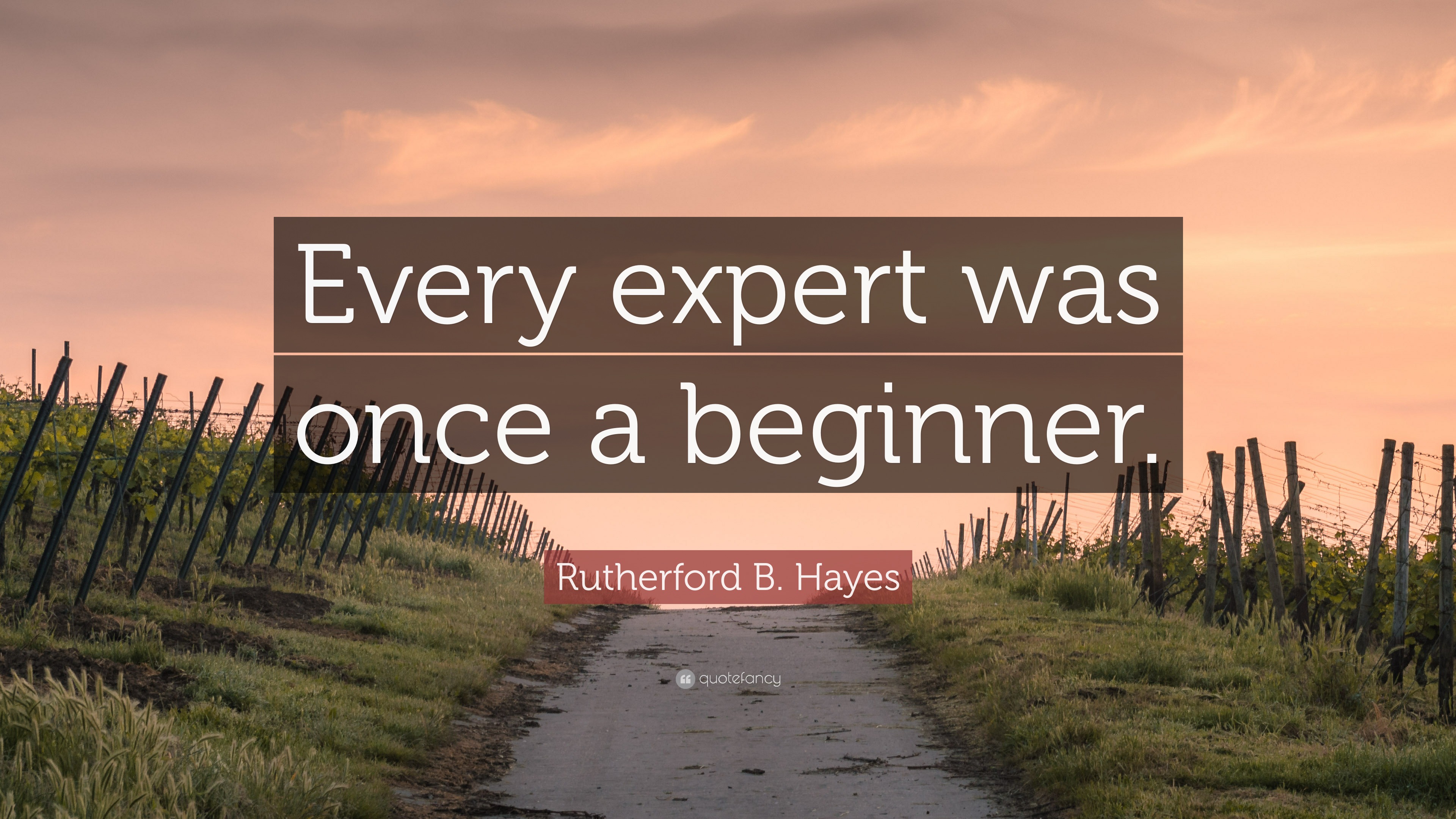 Rutherford B. Hayes Quote: “Every expert was once a beginner.”
