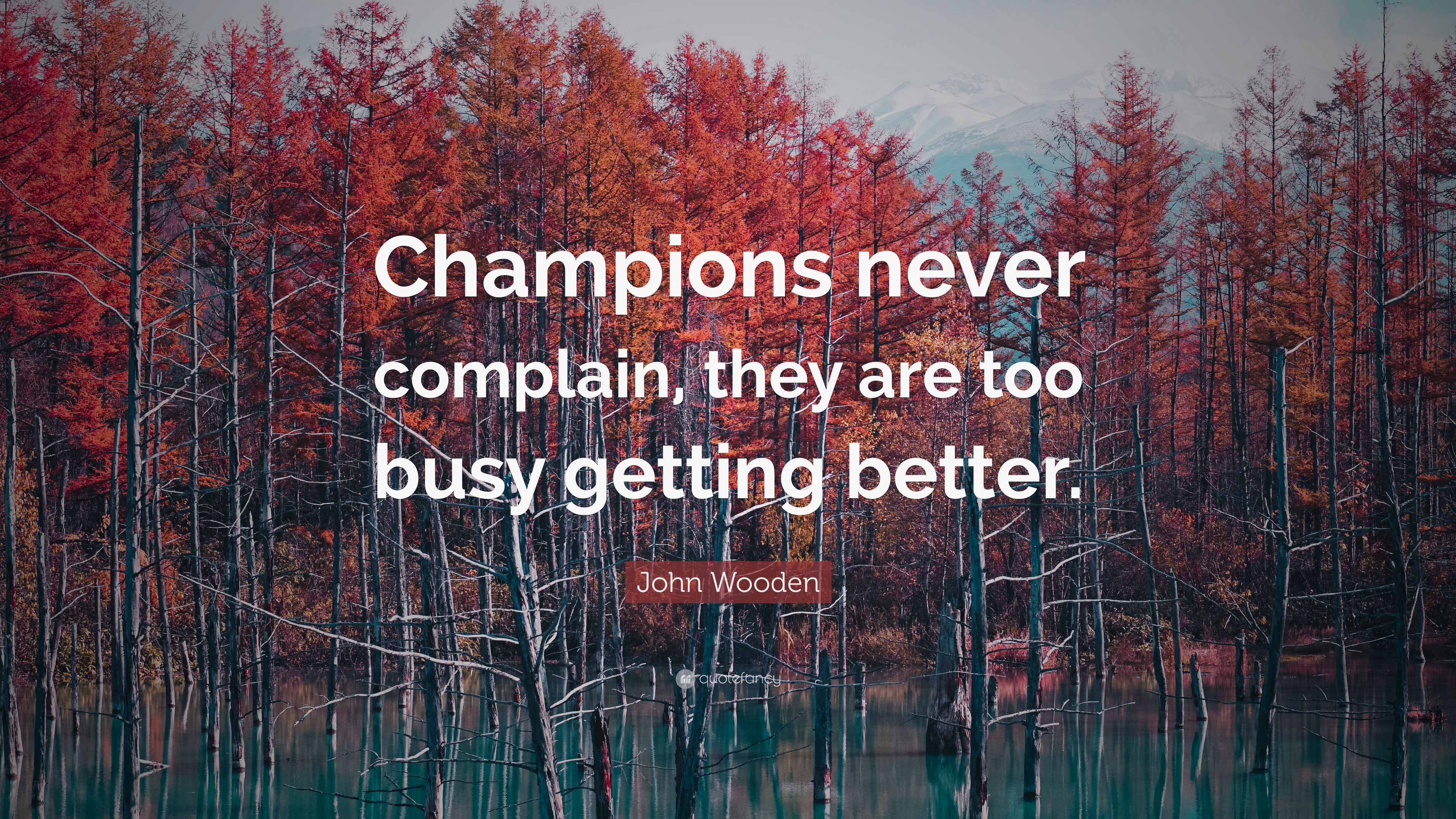 John Wooden Quote: “Champions never complain, they are too busy getting ...