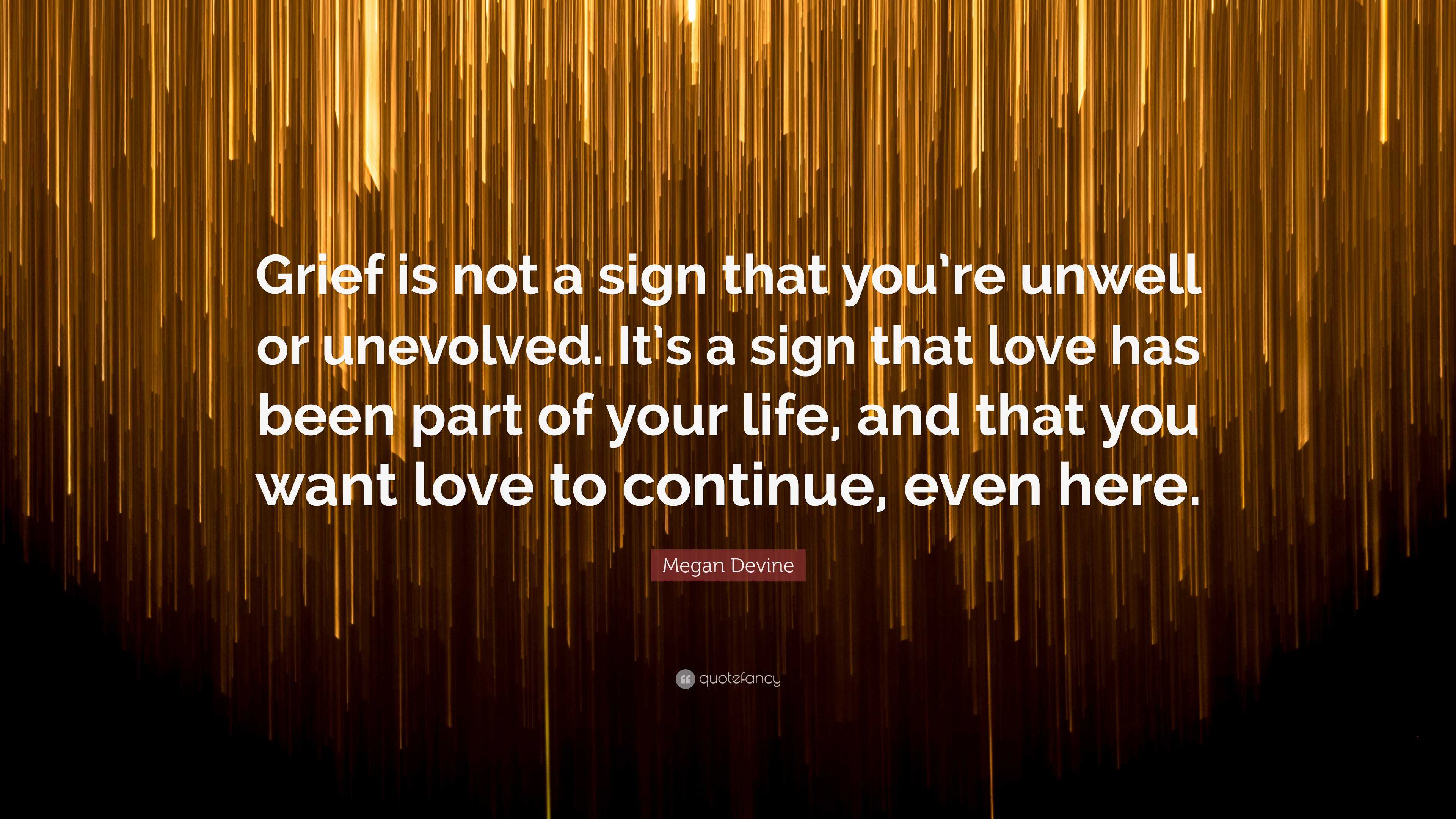 Megan Devine Quote: “Grief is not a sign that you’re unwell or ...