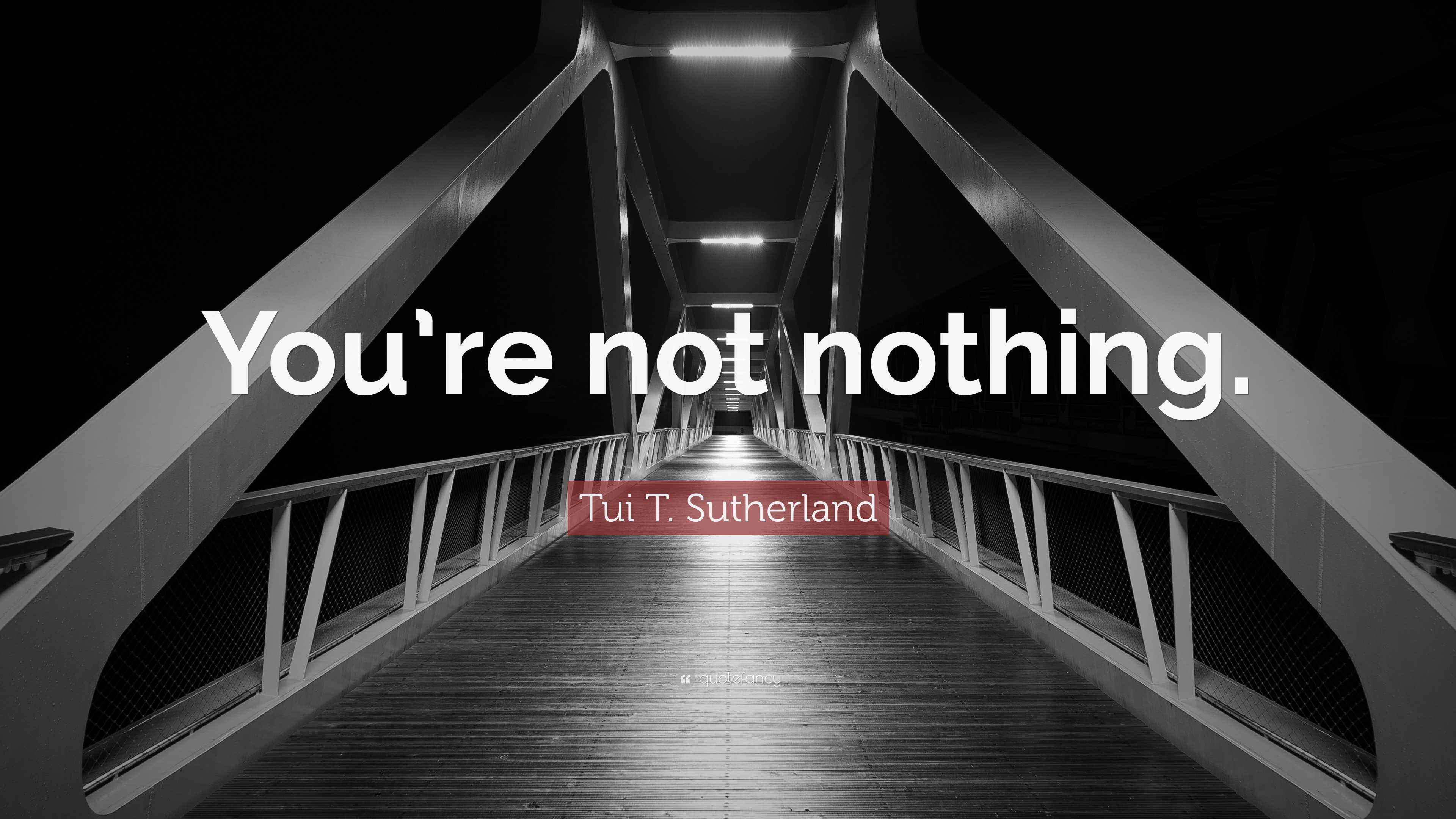Tui T. Sutherland Quote: “You’re not nothing.”