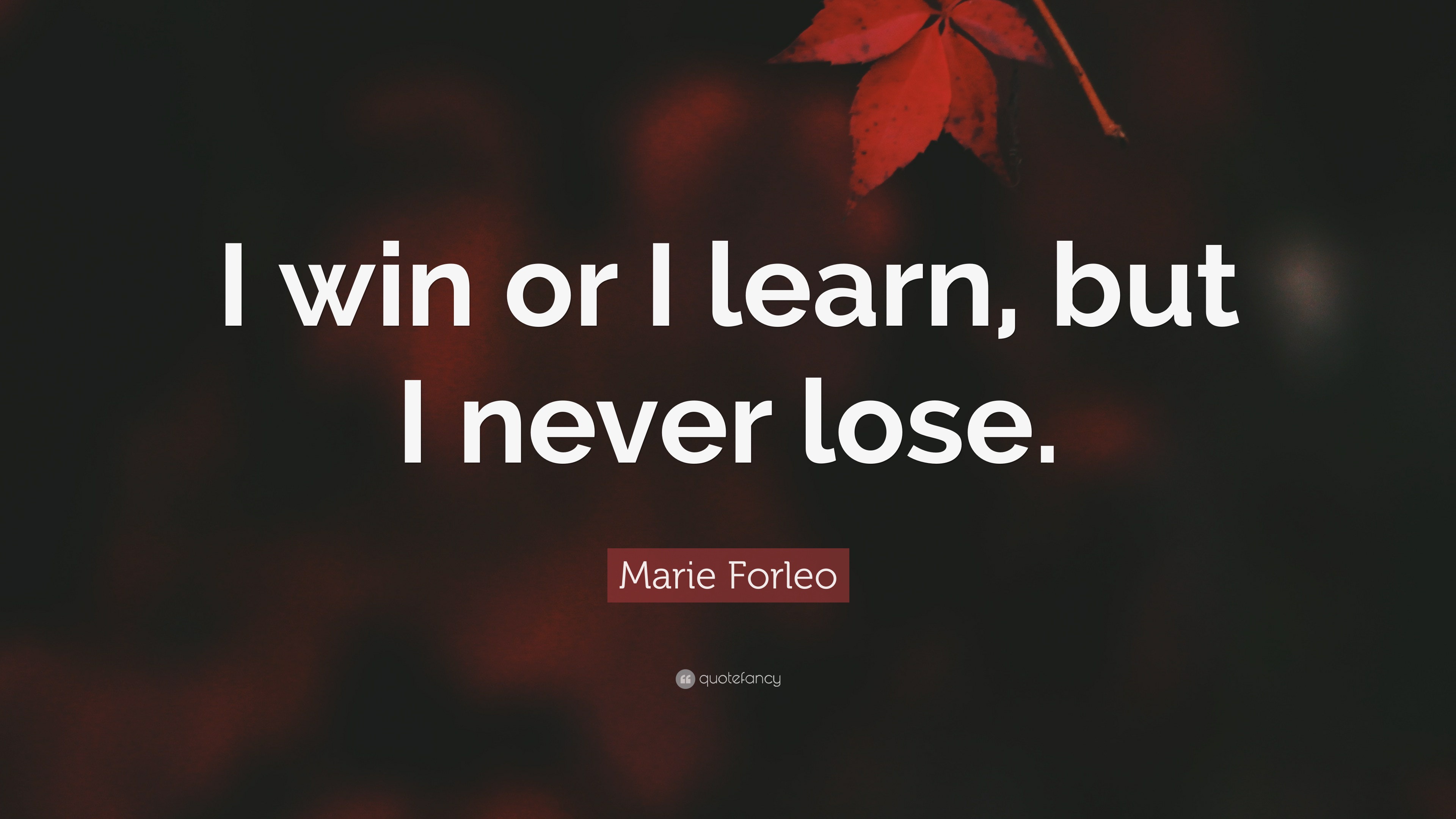 Marie Forleo Quote: “I win or I learn, but I never lose.”