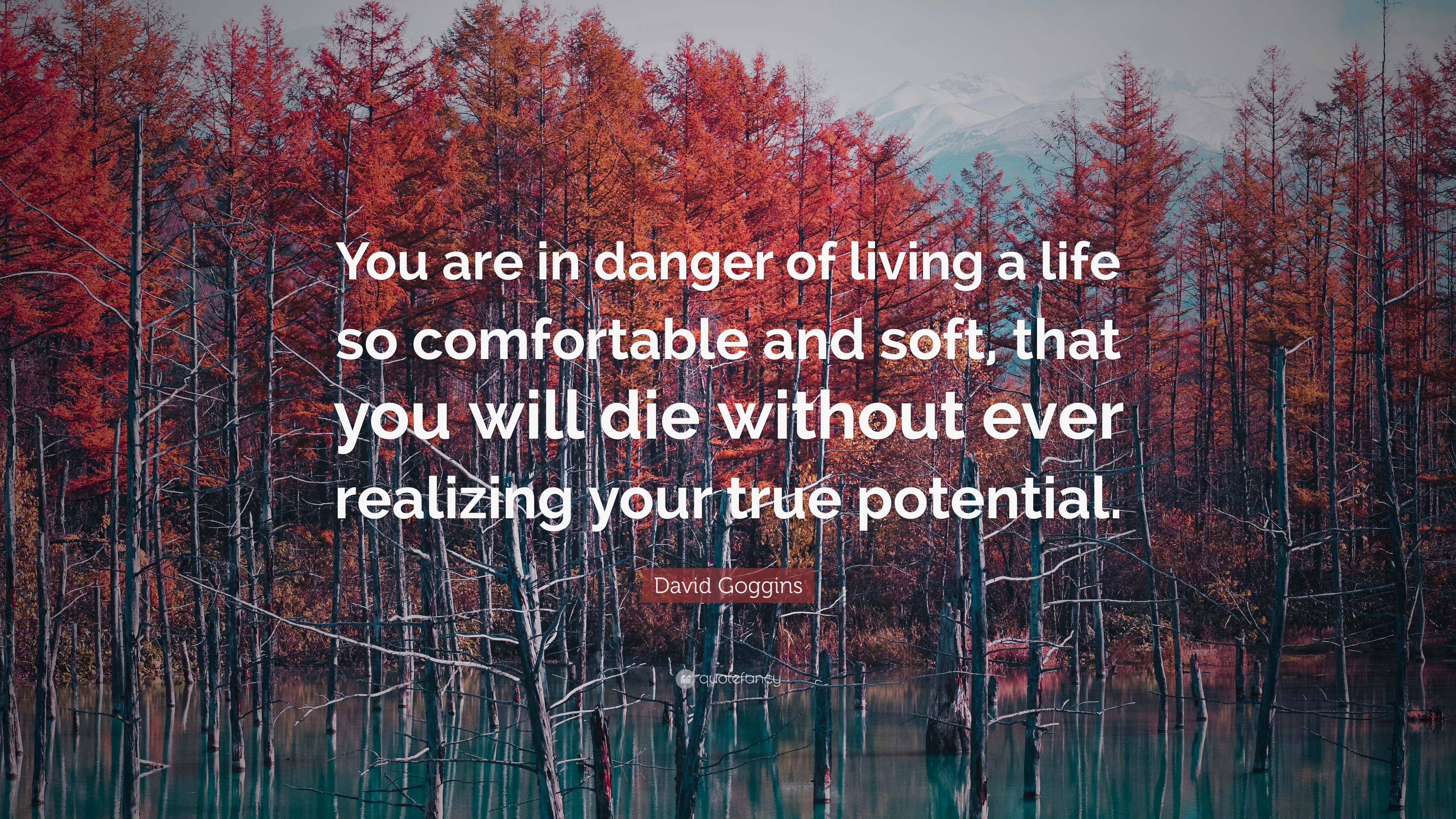 David Goggins Quote: “You are in danger of living a life so comfortable ...