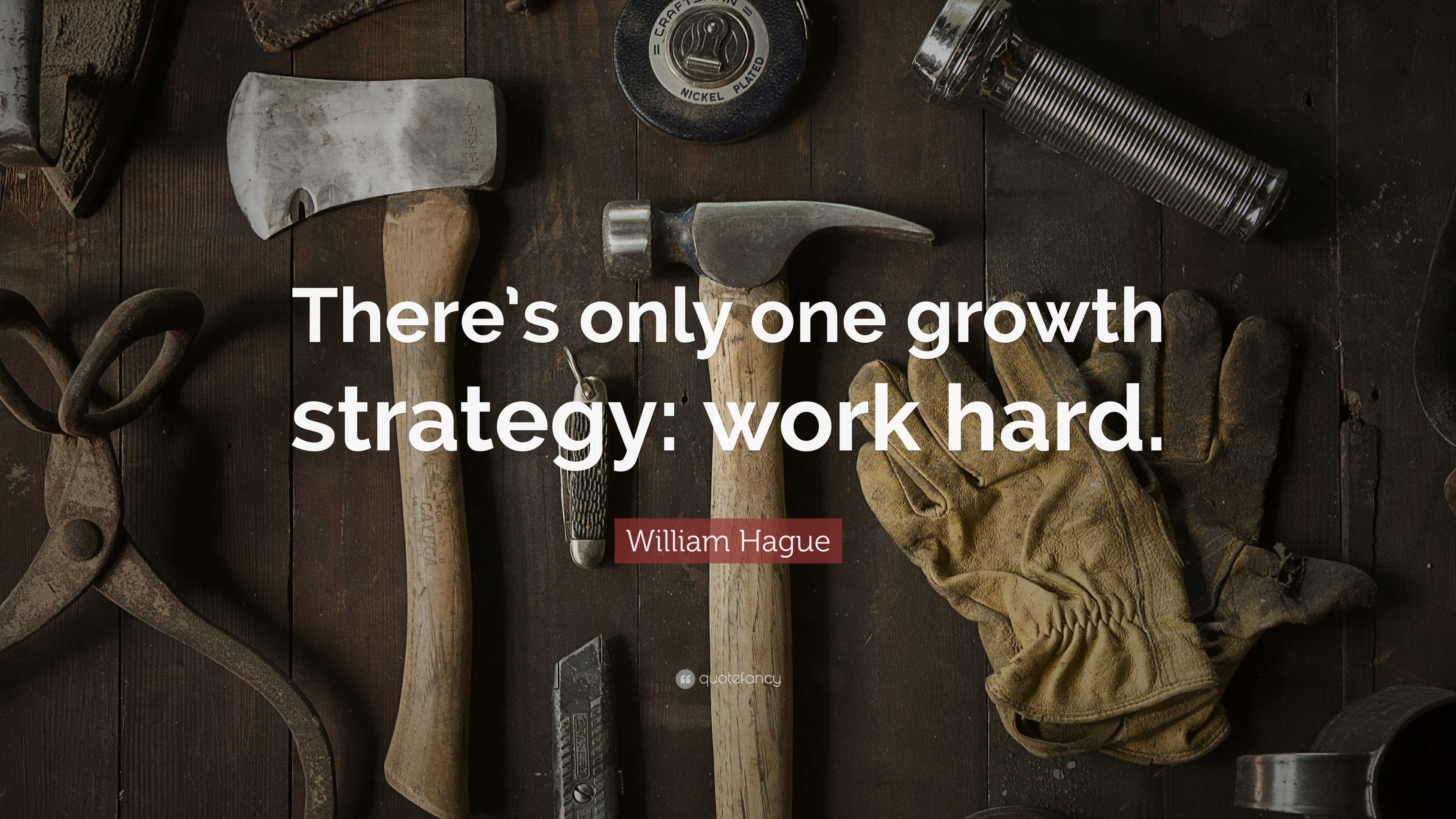 William Hague Quote: “There’s only one growth strategy: work hard.”