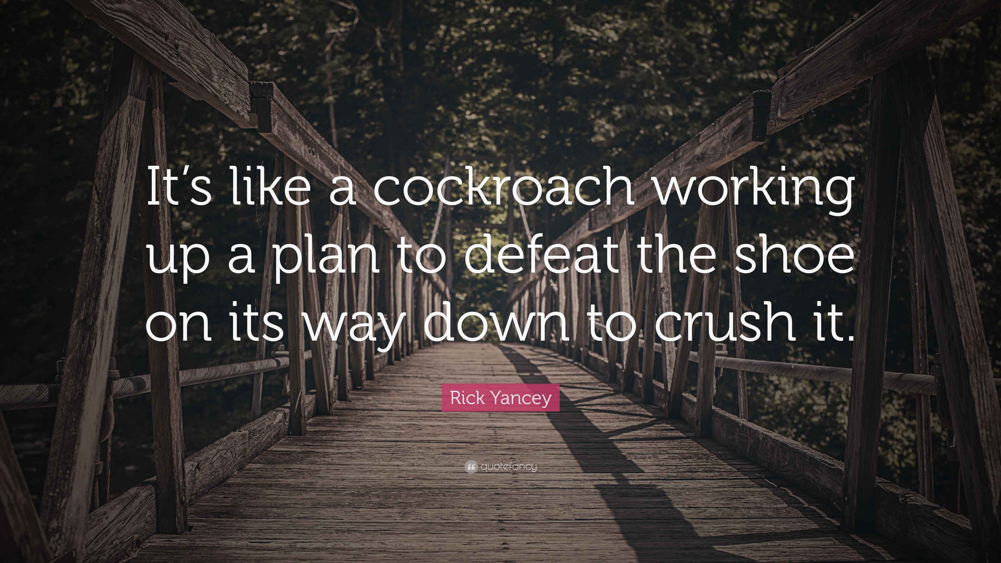Rick Yancey Quote: “It’s like a cockroach working up a plan to defeat ...