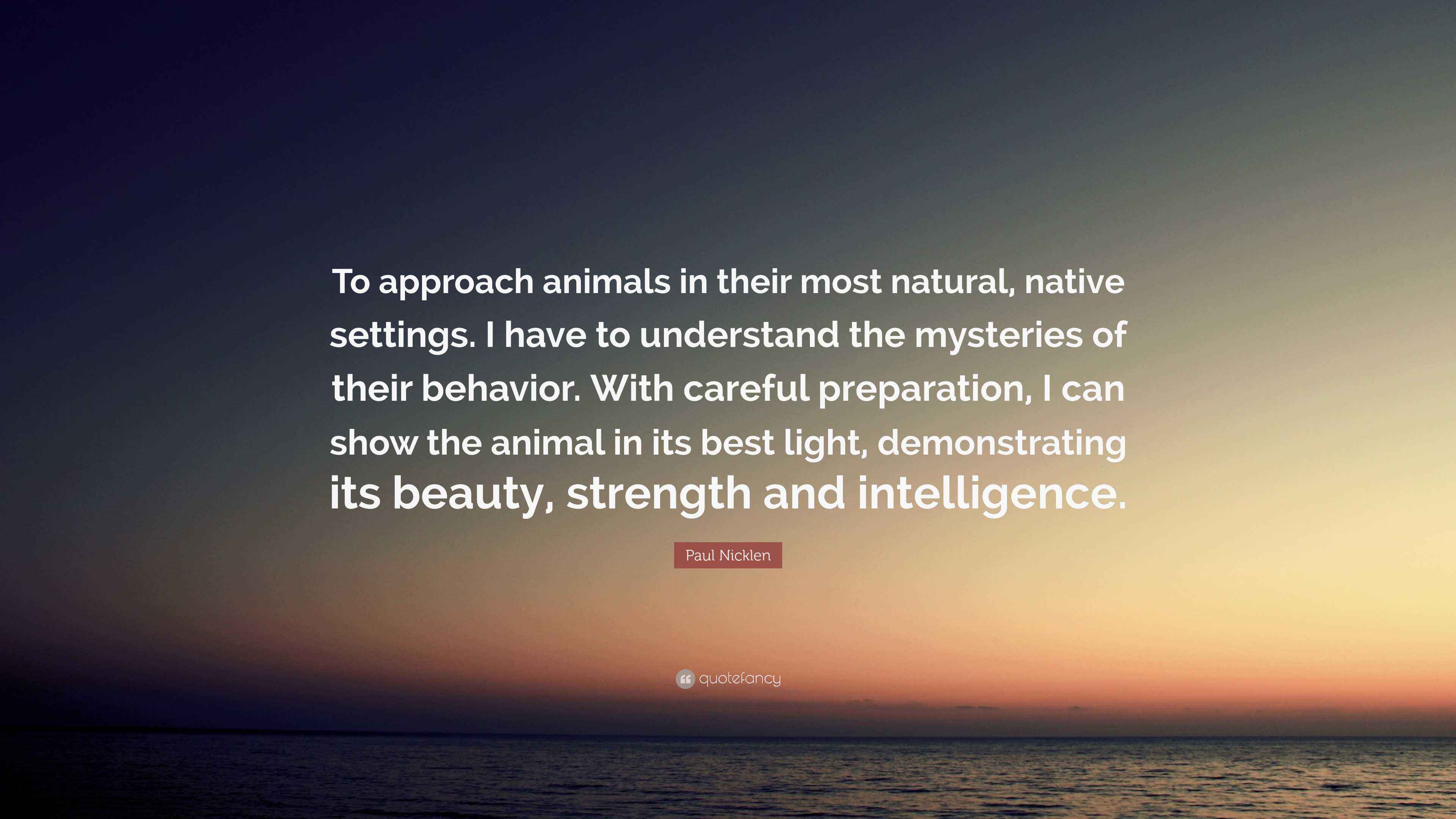 Paul Nicklen Quote: “To approach animals in their most natural, native ...
