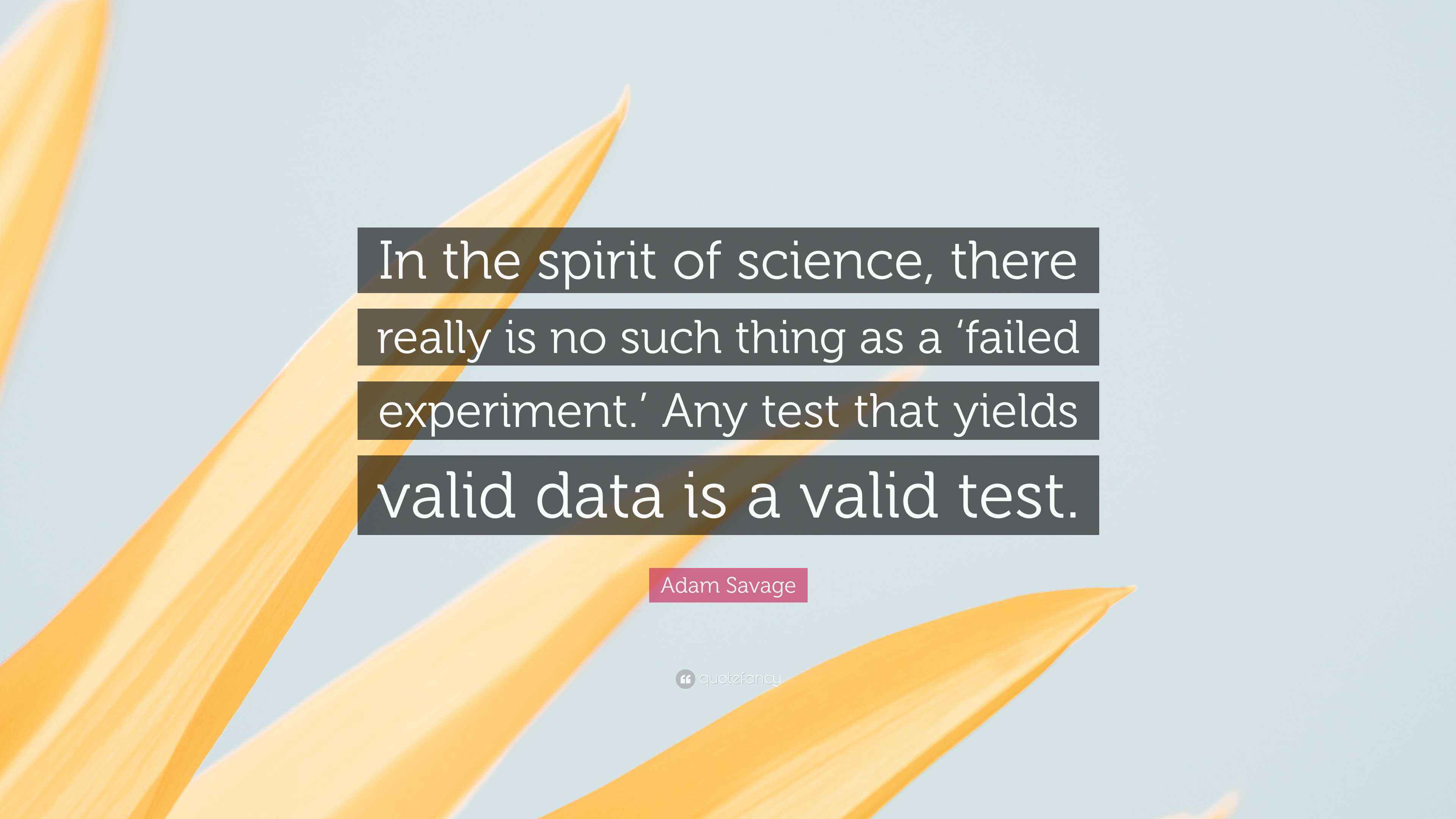 Adam Savage Quote: “In the spirit of science, there really is no such ...