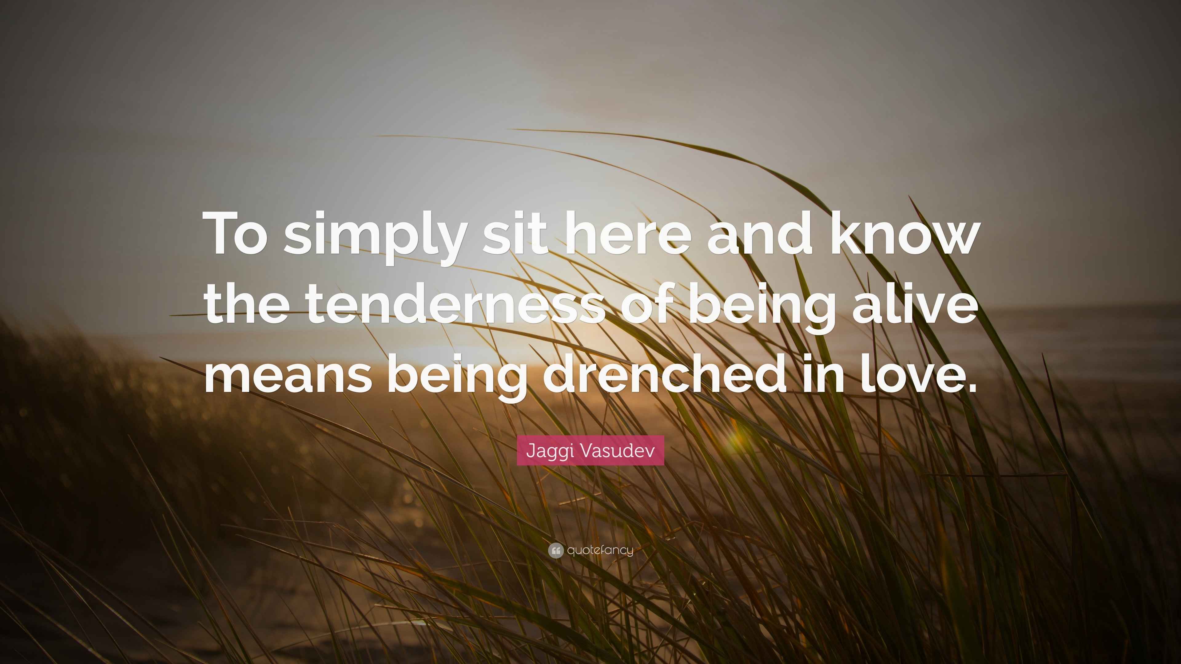 Jaggi Vasudev Quote: “To simply sit here and know the tenderness of ...