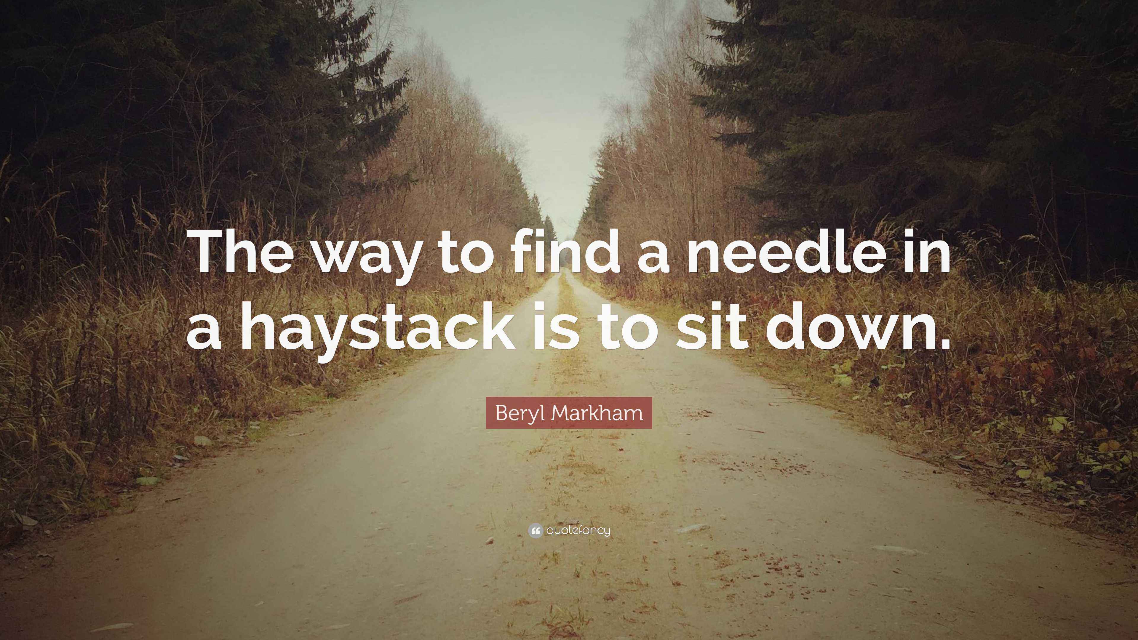 Beryl Markham Quote: “The way to find a needle in a haystack is to sit ...