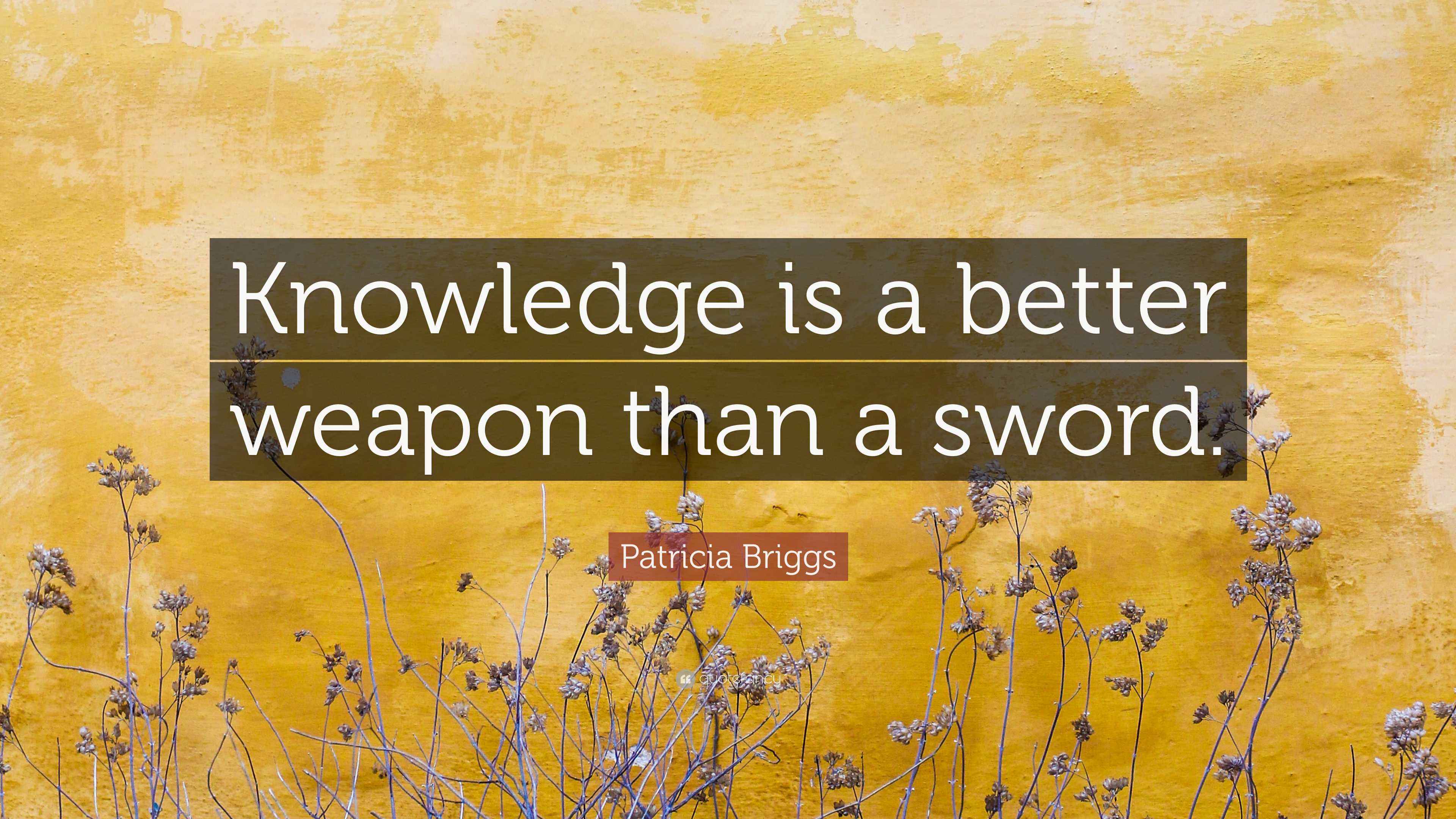 Patricia Briggs Quote: “Knowledge is a better weapon than a sword.”