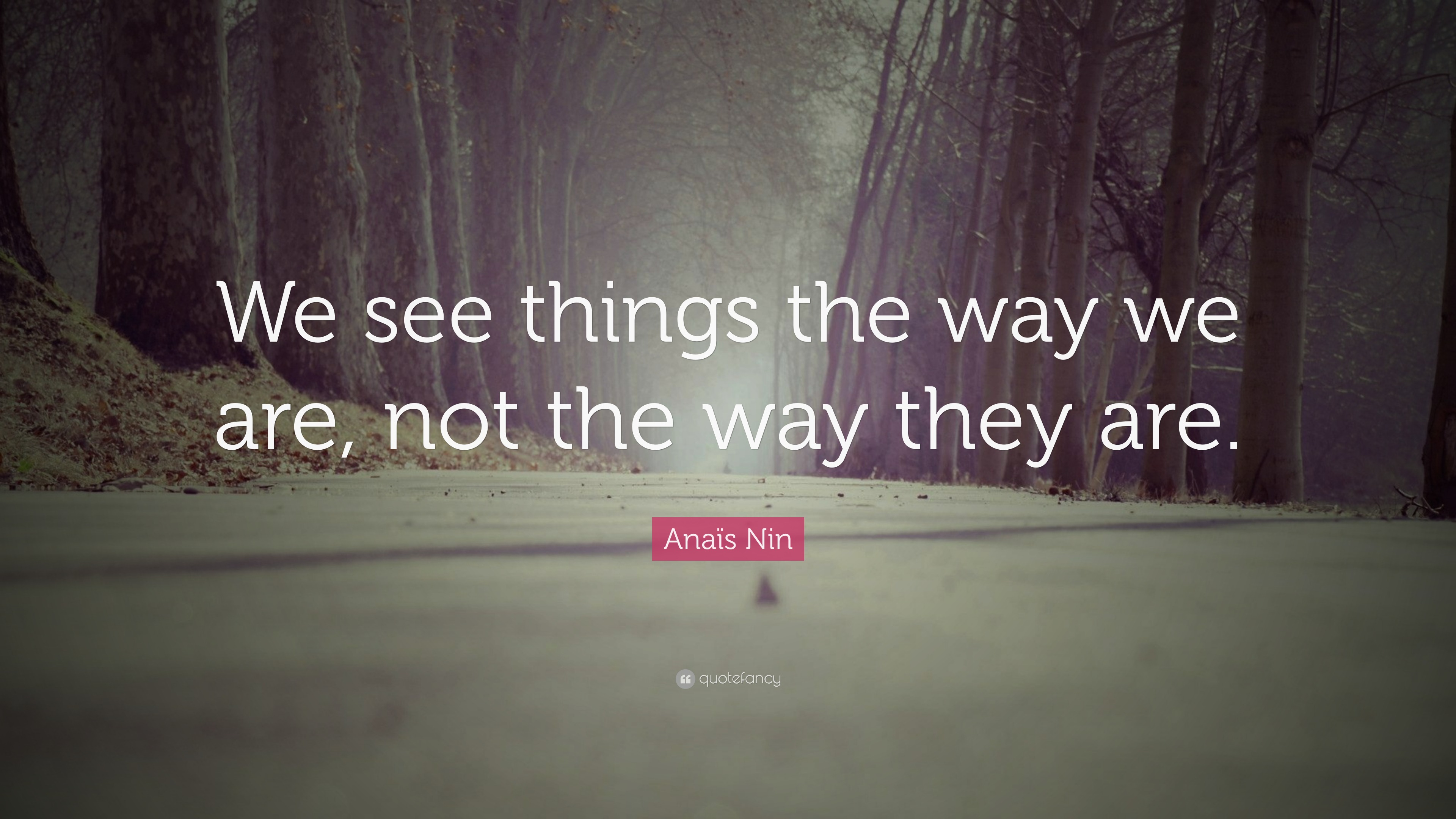 Anaïs Nin Quote: “We see things the way we are, not the way they are.”