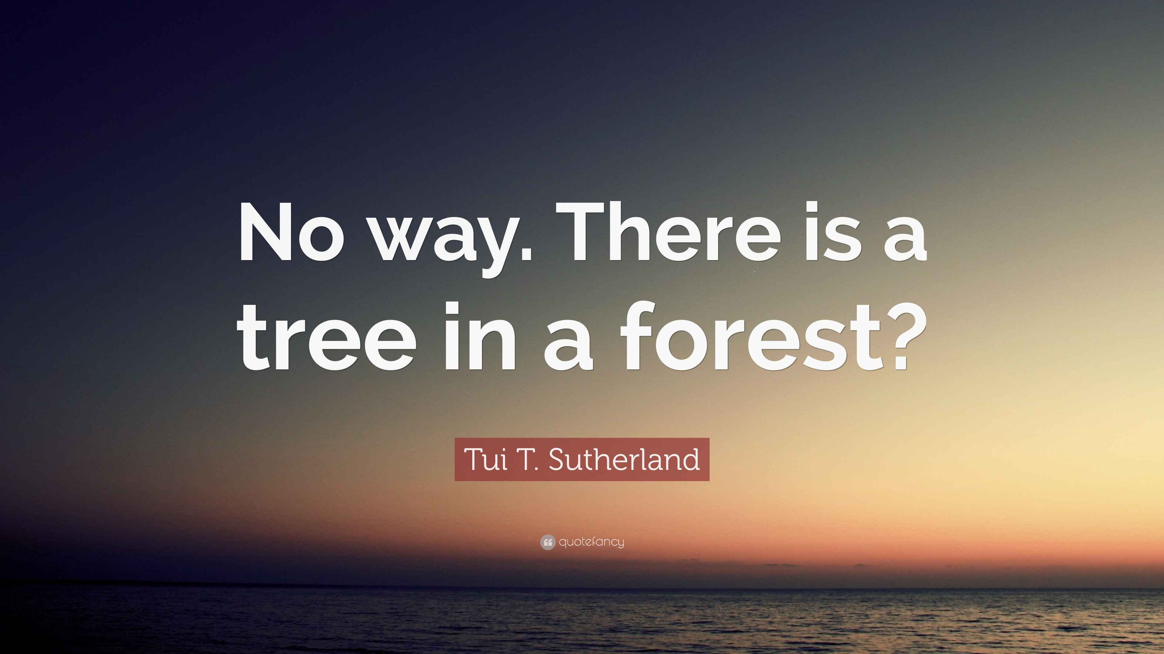 Tui T. Sutherland Quote: “No way. There is a tree in a forest?”