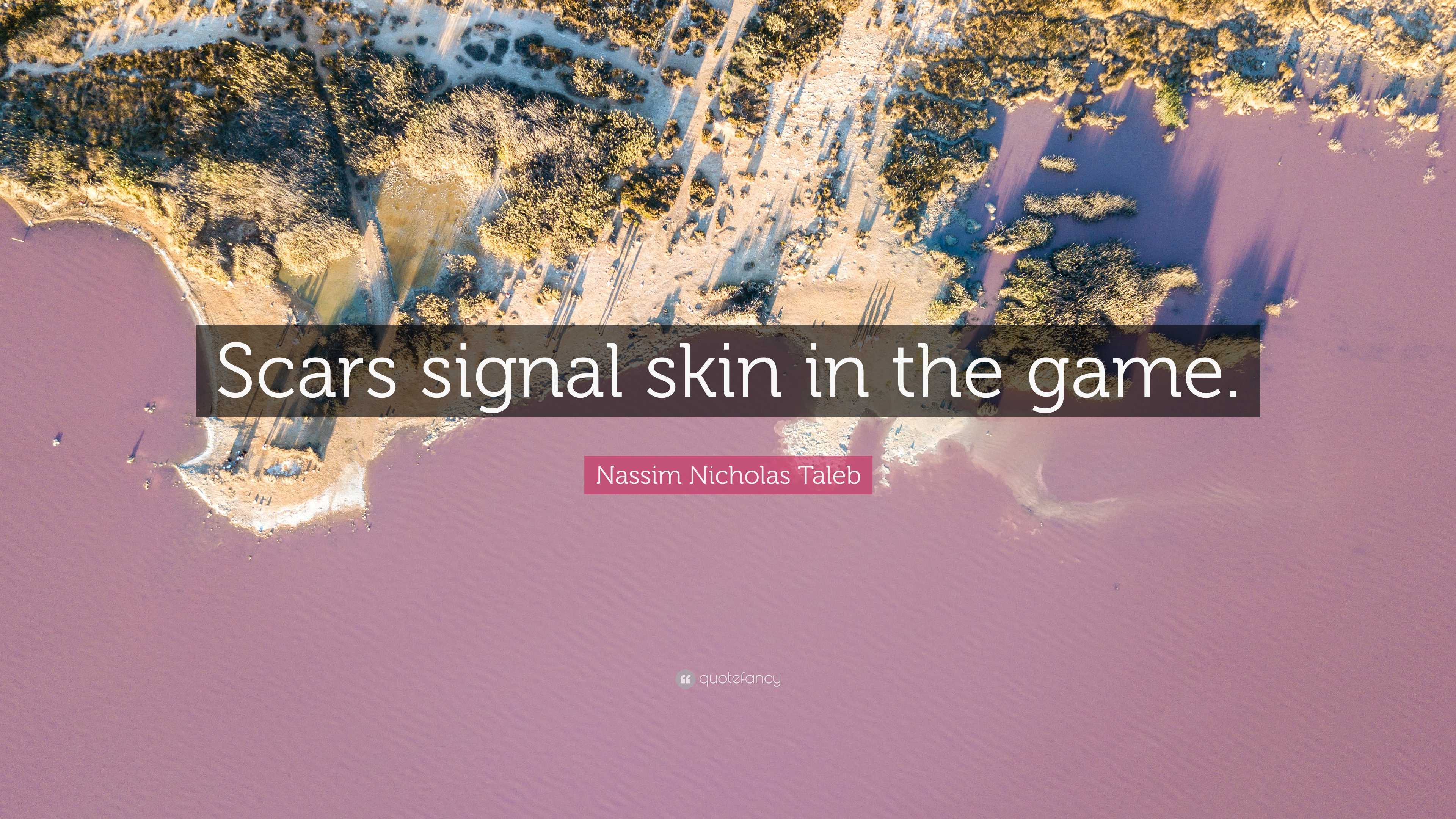 Nassim Nicholas Taleb Quote: “Scars signal skin in the game.”