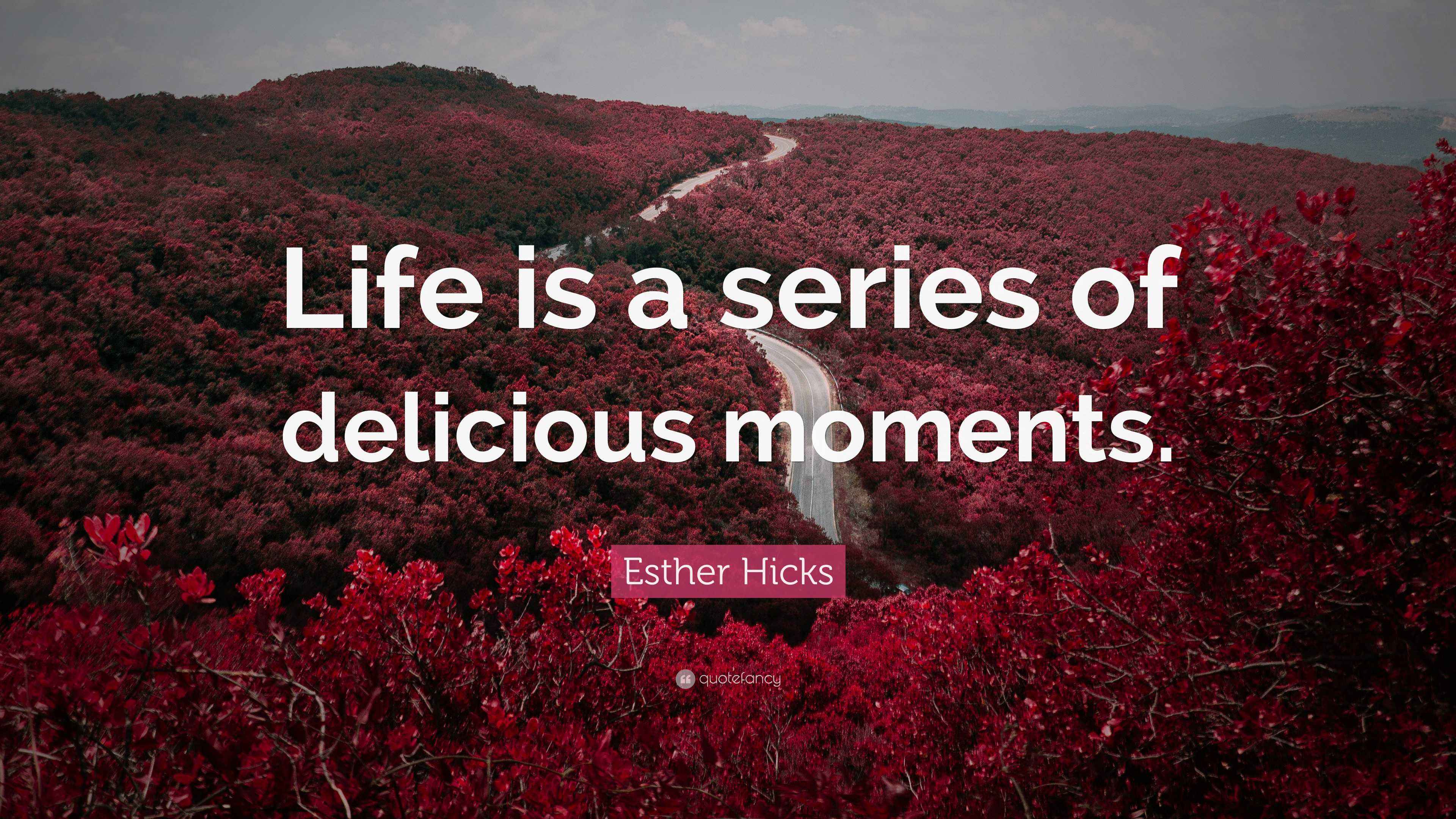 Esther Hicks Quote: “Life is a series of delicious moments.”