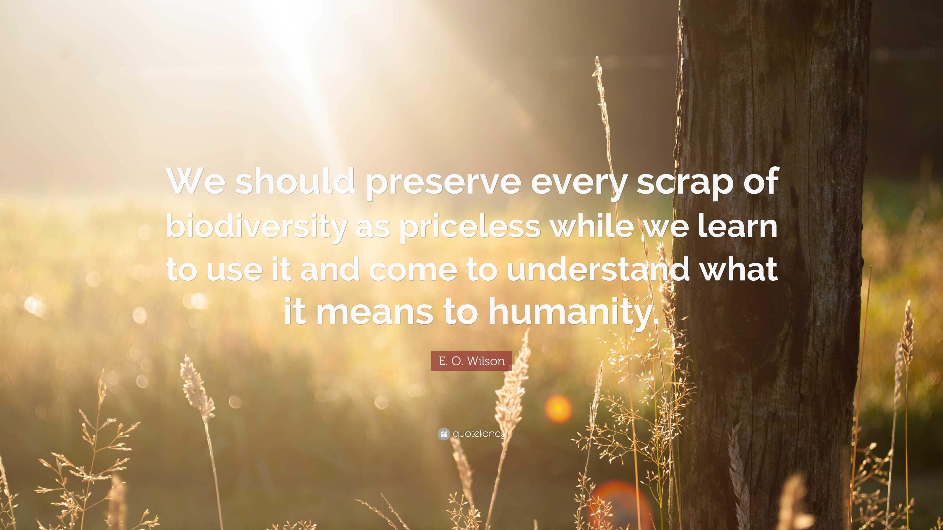 E. O. Wilson Quote: “We should preserve every scrap of biodiversity as ...