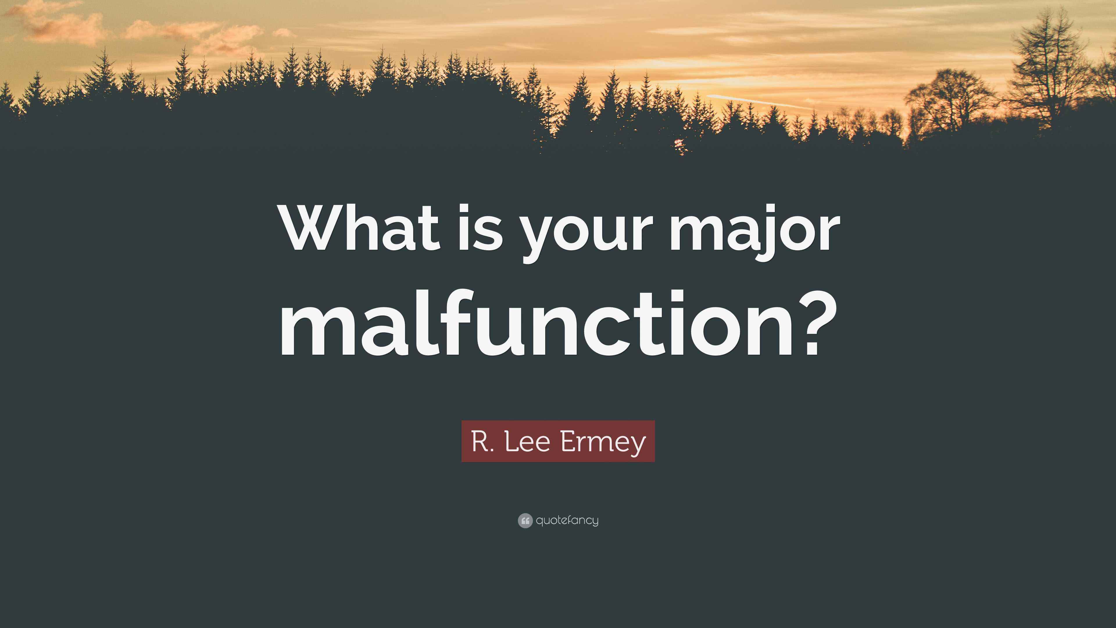 R. Lee Ermey Quote: “What is your major malfunction?”