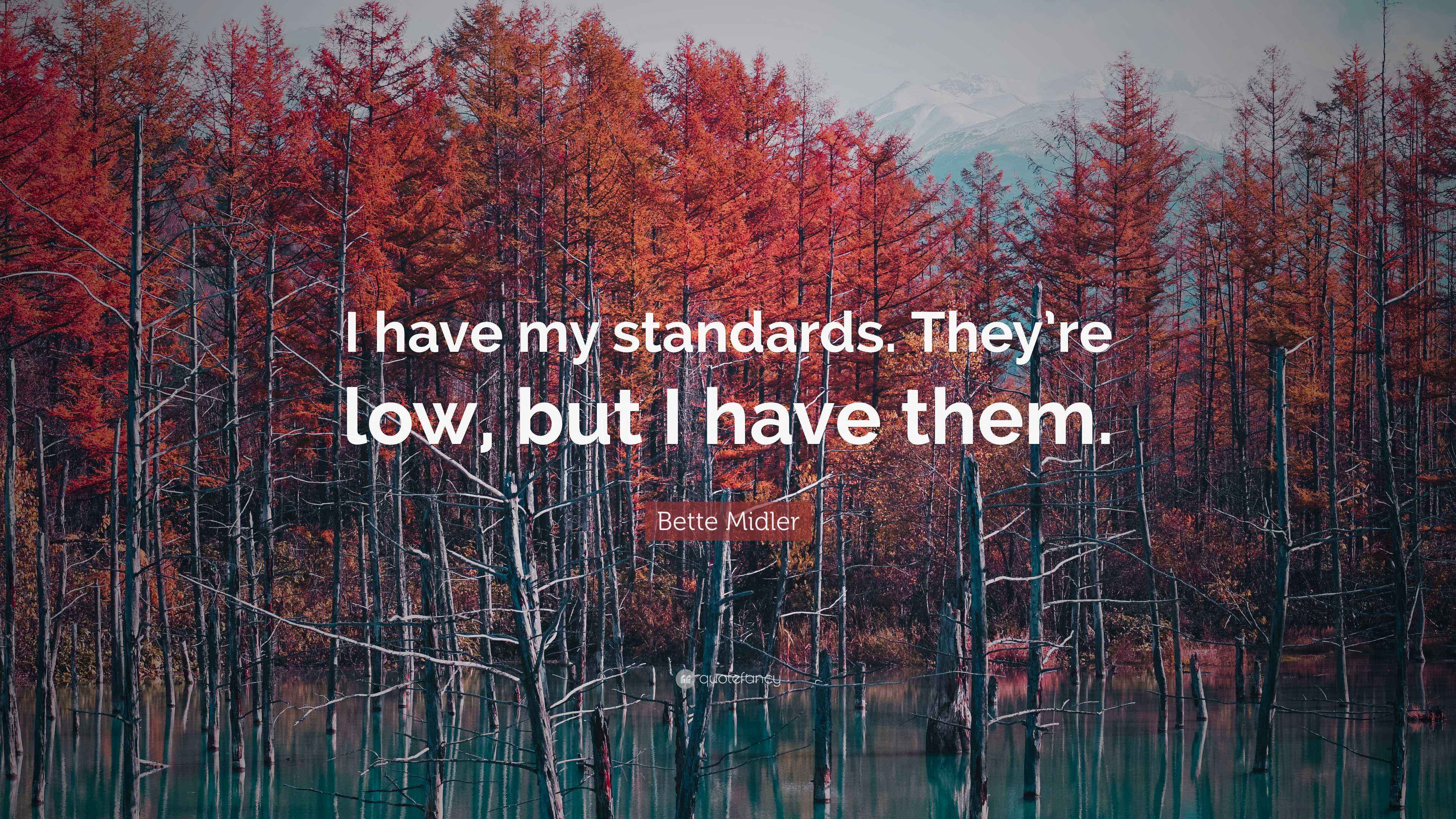 Bette Midler Quote: “I have my standards. They’re low, but I have them.”