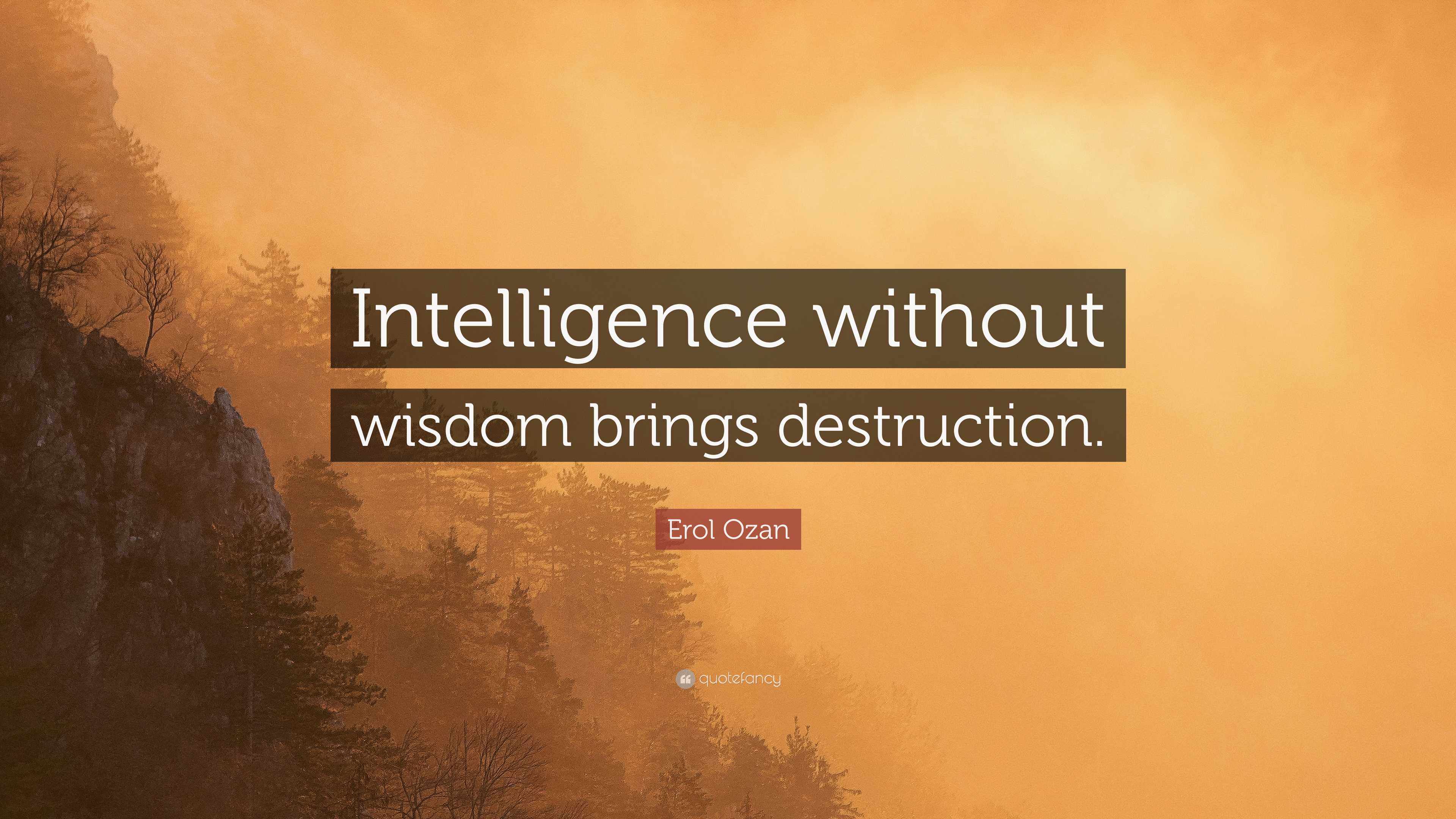 Erol Ozan Quote: “Intelligence without wisdom brings destruction.”