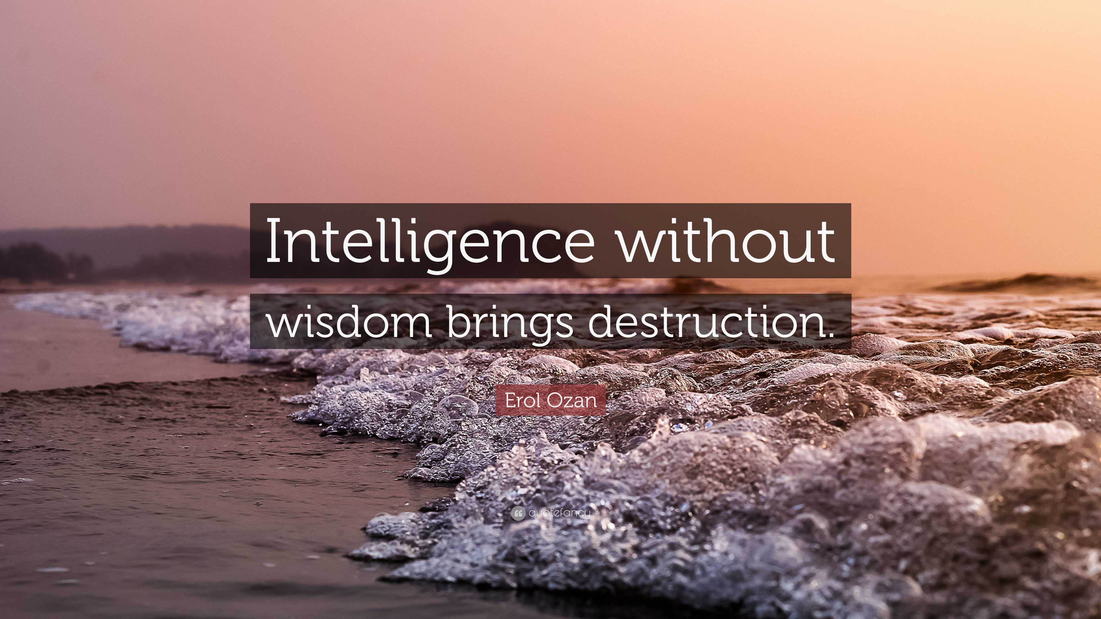 Erol Ozan Quote: “Intelligence without wisdom brings destruction.”