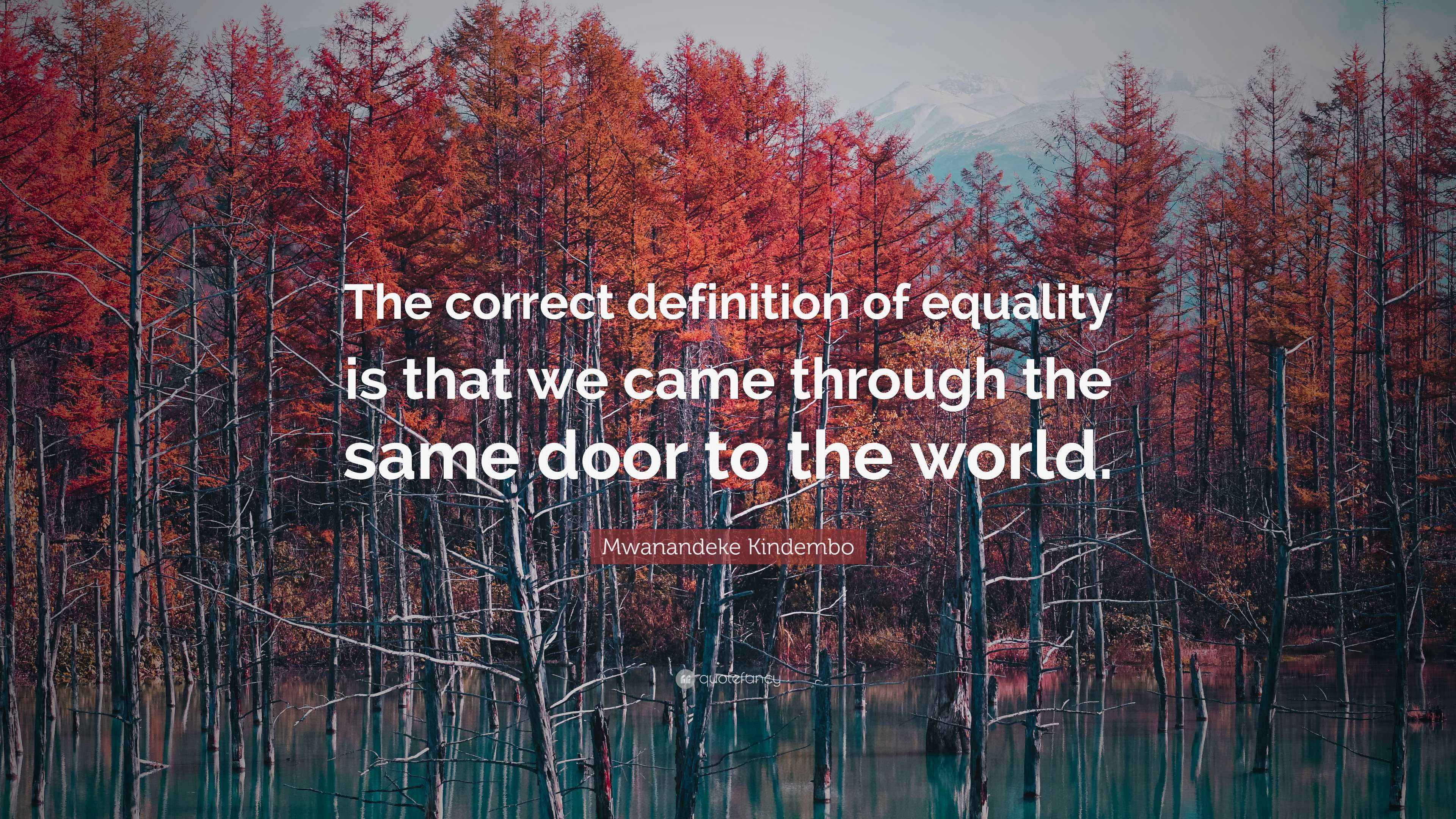 Mwanandeke Kindembo Quote: “The correct definition of equality is that ...