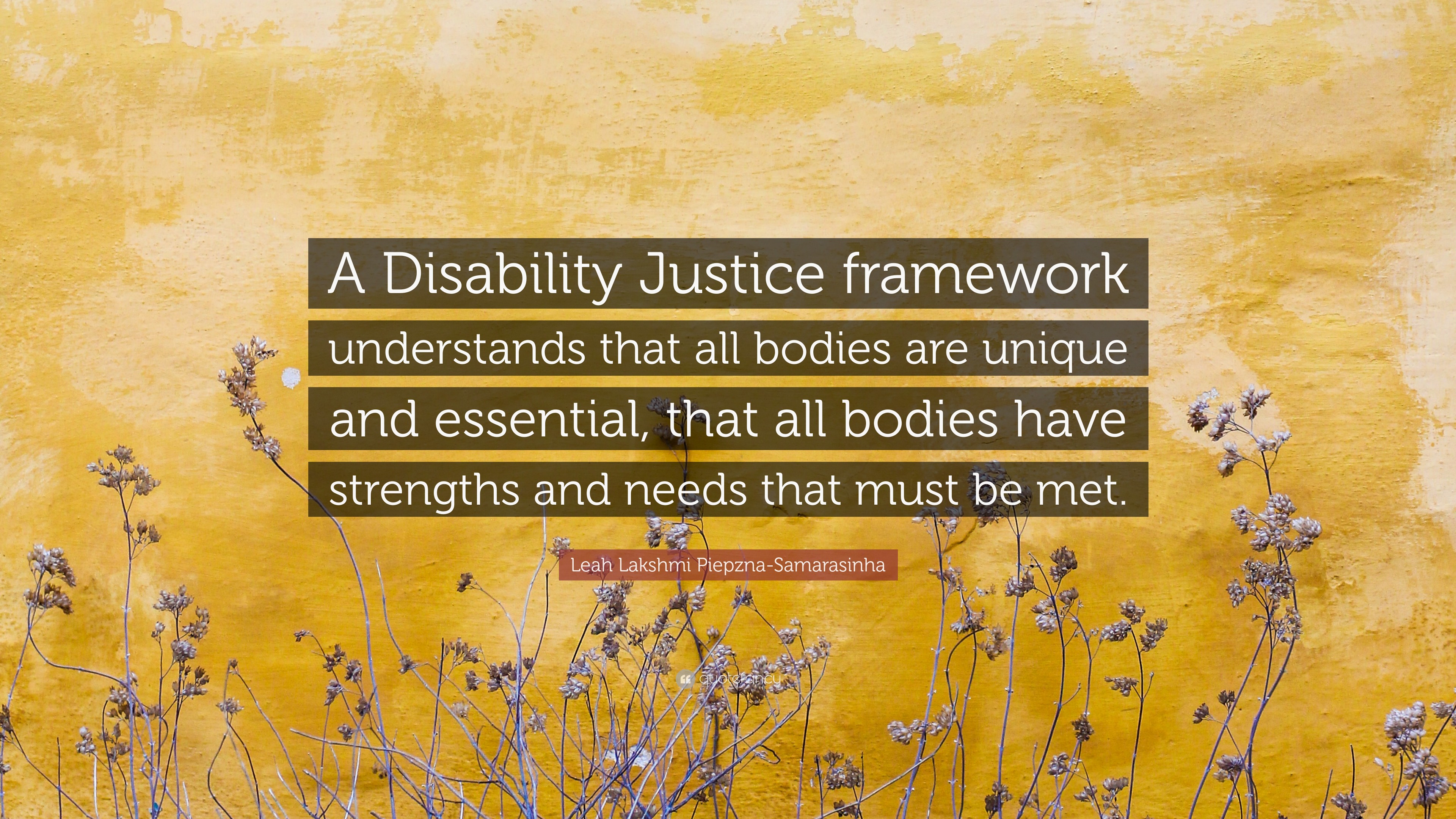 Leah Lakshmi Piepzna-Samarasinha Quote: “A Disability Justice framework ...