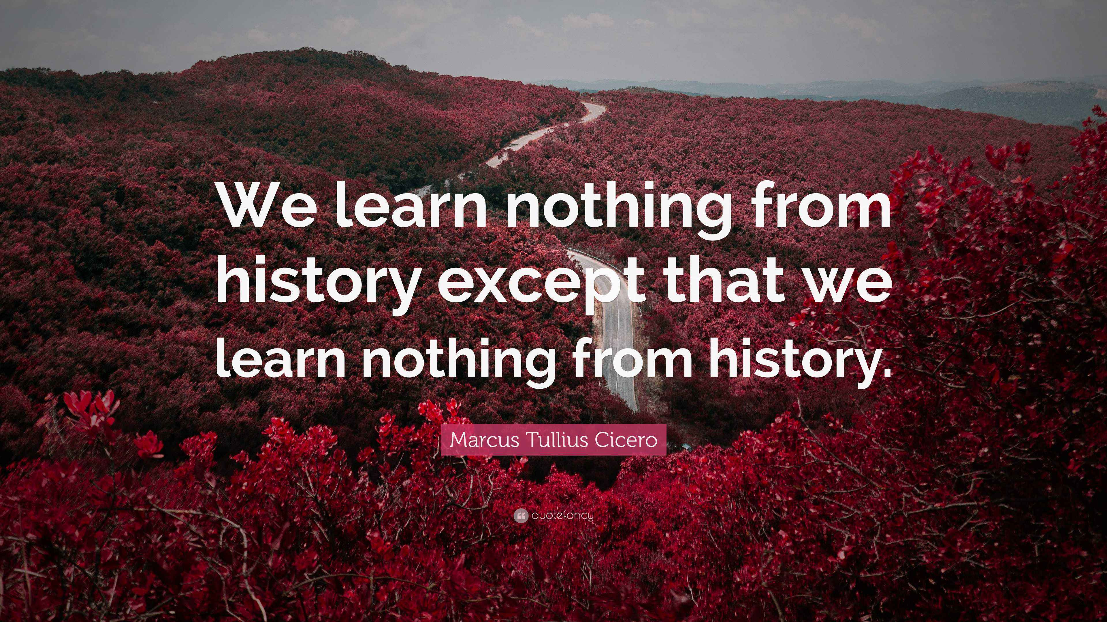 Marcus Tullius Cicero Quote: “We learn nothing from history except that ...