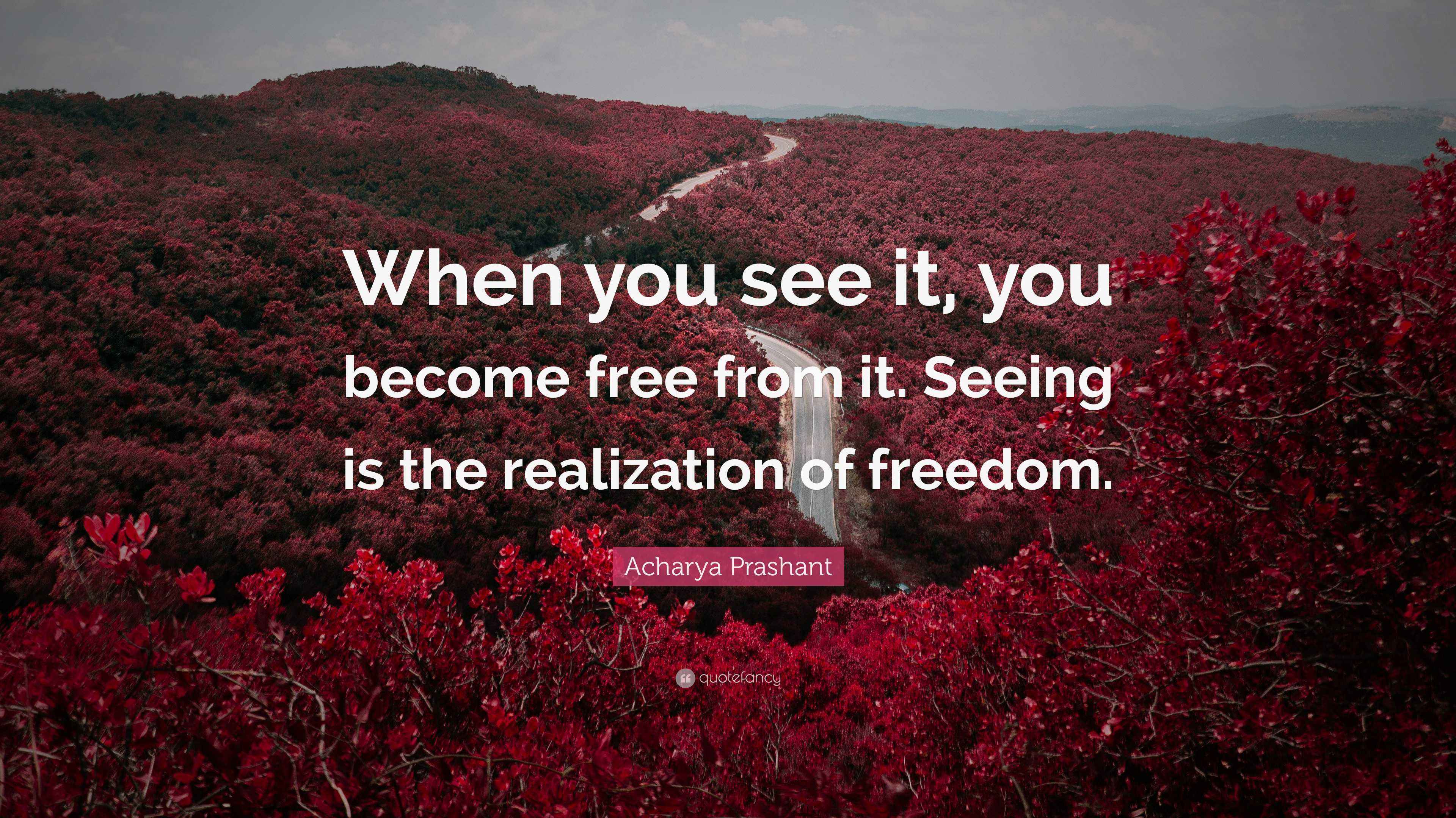 Acharya Prashant Quote: “When you see it, you become free from it ...