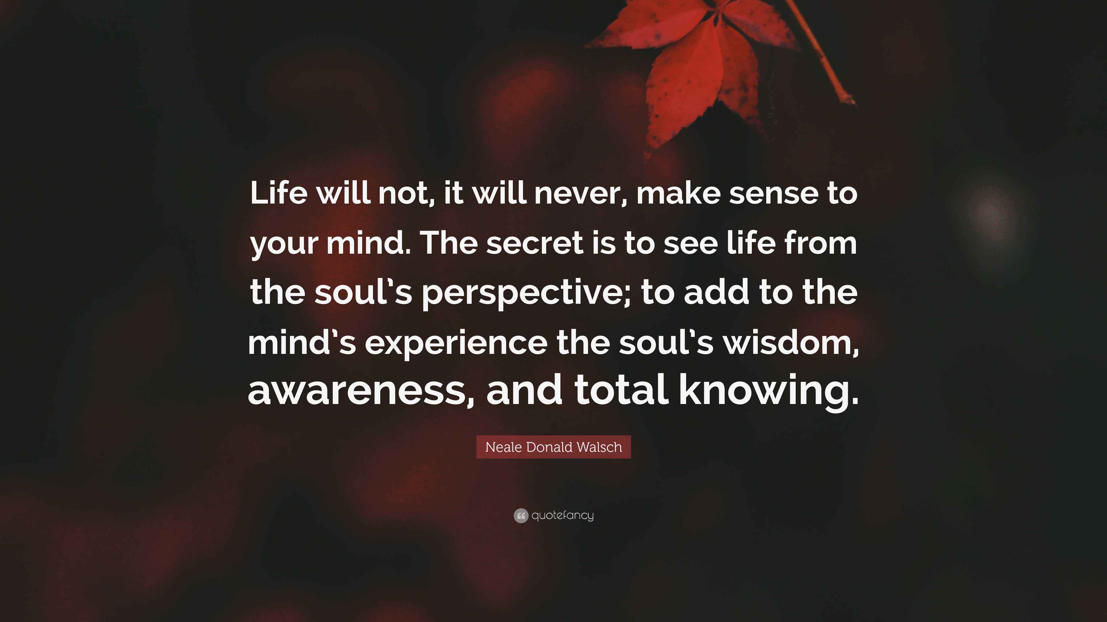Neale Donald Walsch Quote: “Life will not, it will never, make sense to ...