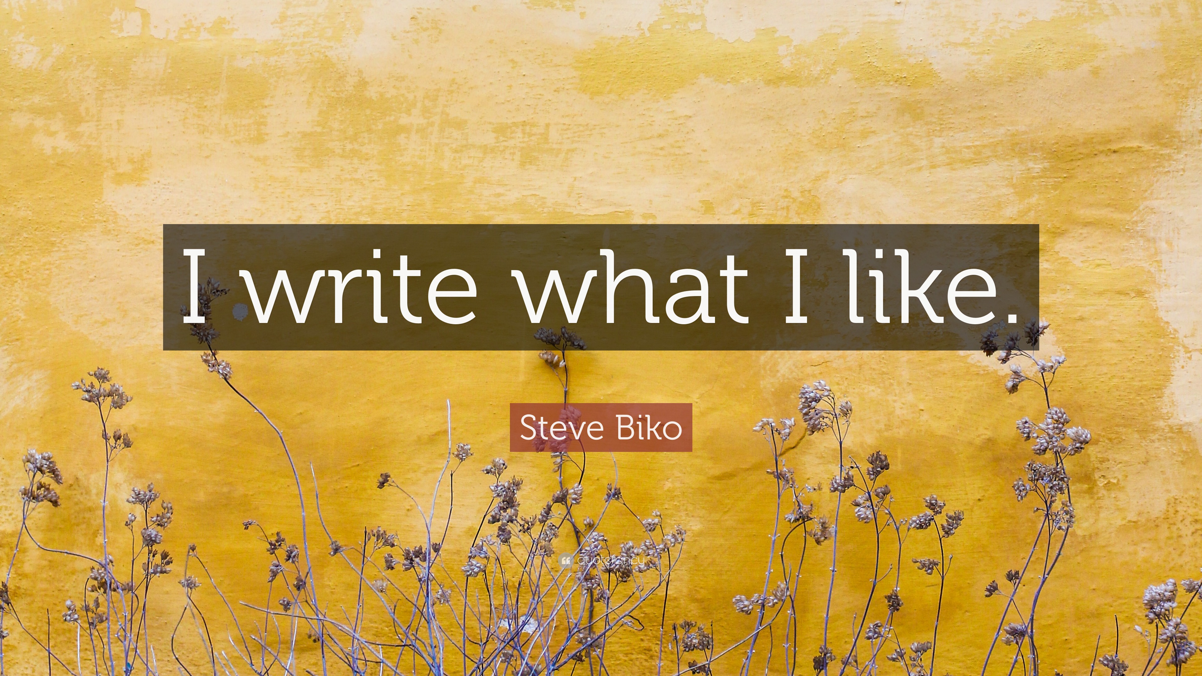 Steve Biko Quote: “I write what I like.”