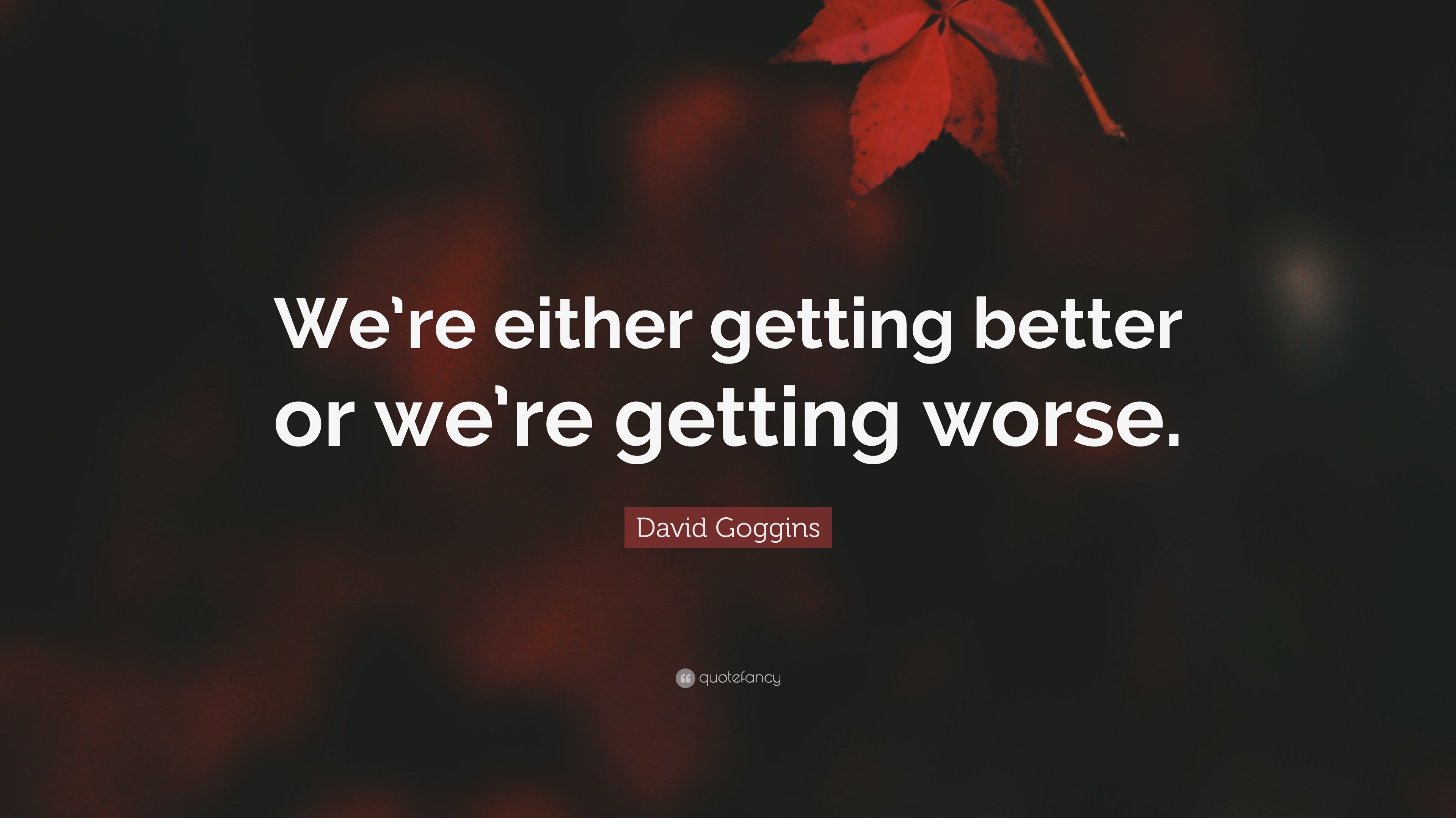 David Goggins Quote: “We’re either getting better or we’re getting worse.”