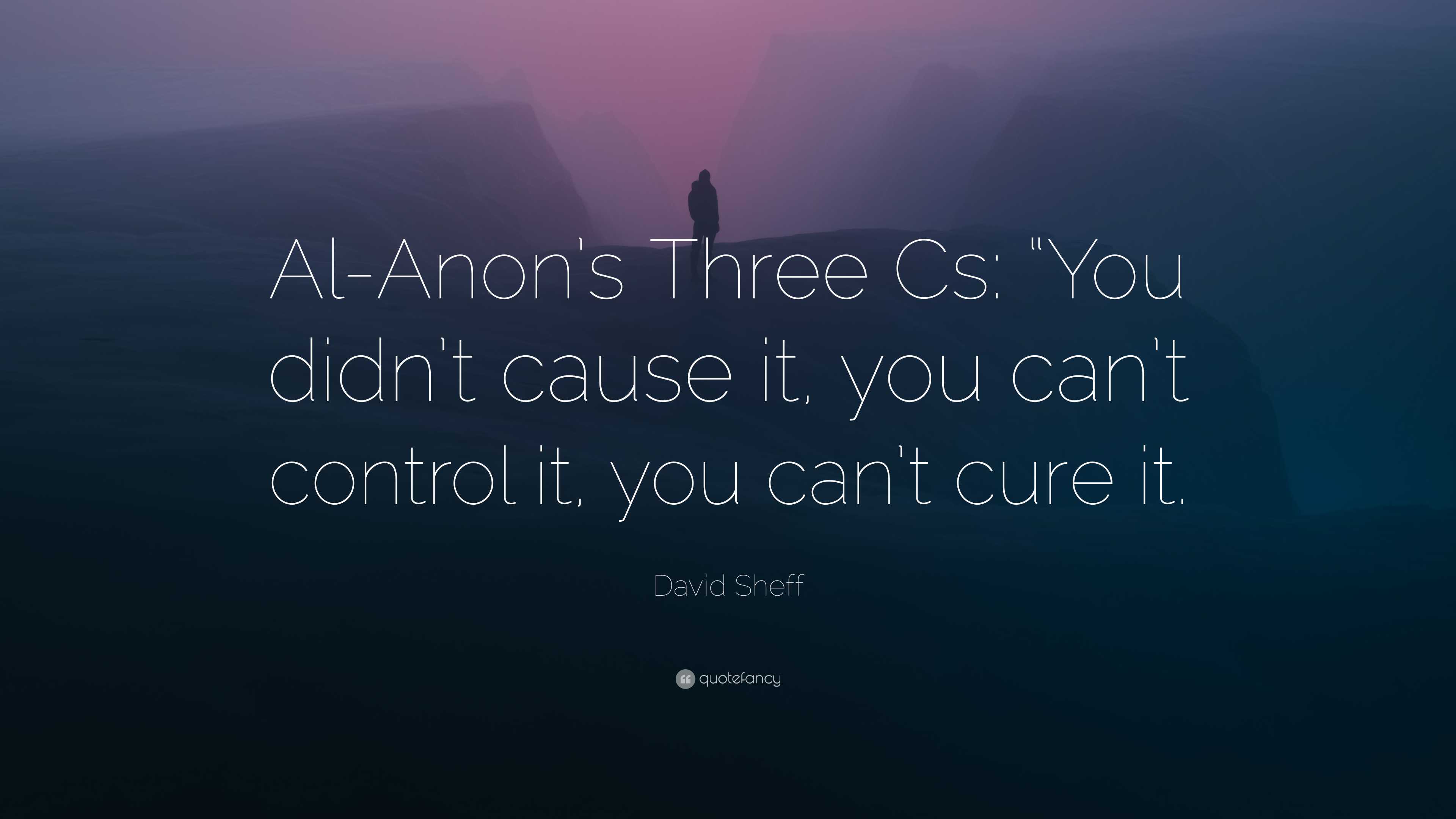 David Sheff Quote: “Al-Anon’s Three Cs: “You didn’t cause it, you can’t ...