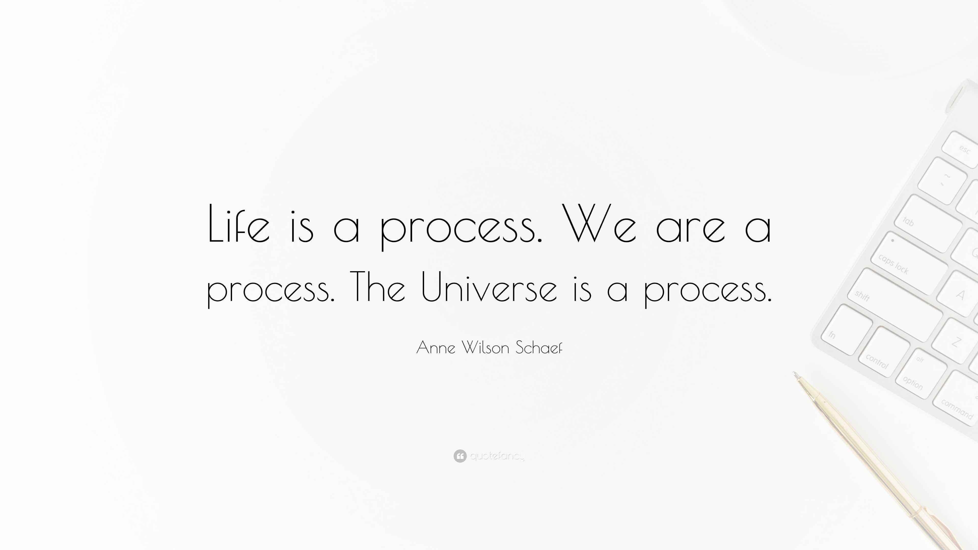Anne Wilson Schaef Quote: “Life is a process. We are a process. The ...