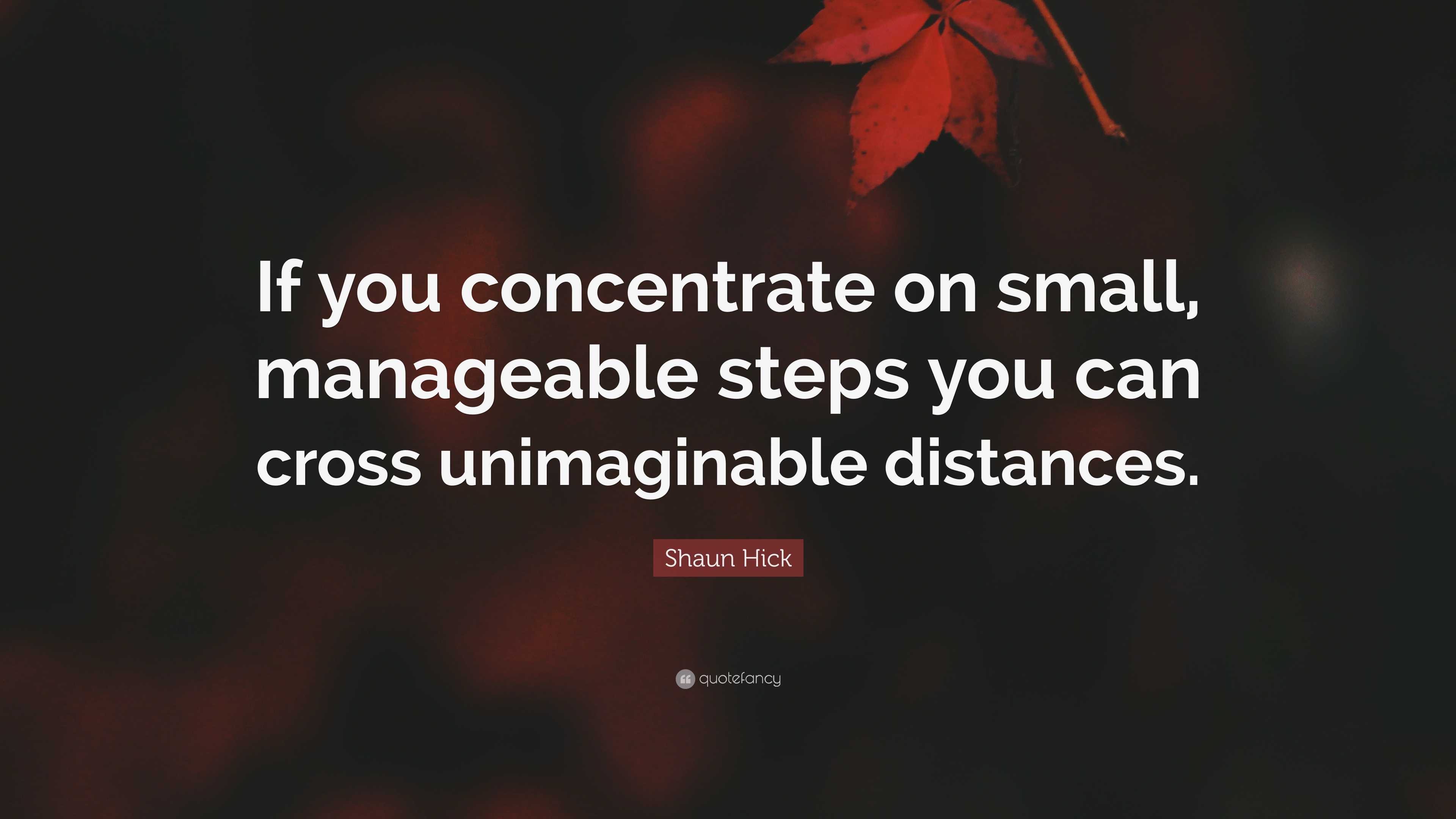 Shaun Hick Quote: “If you concentrate on small, manageable steps you ...