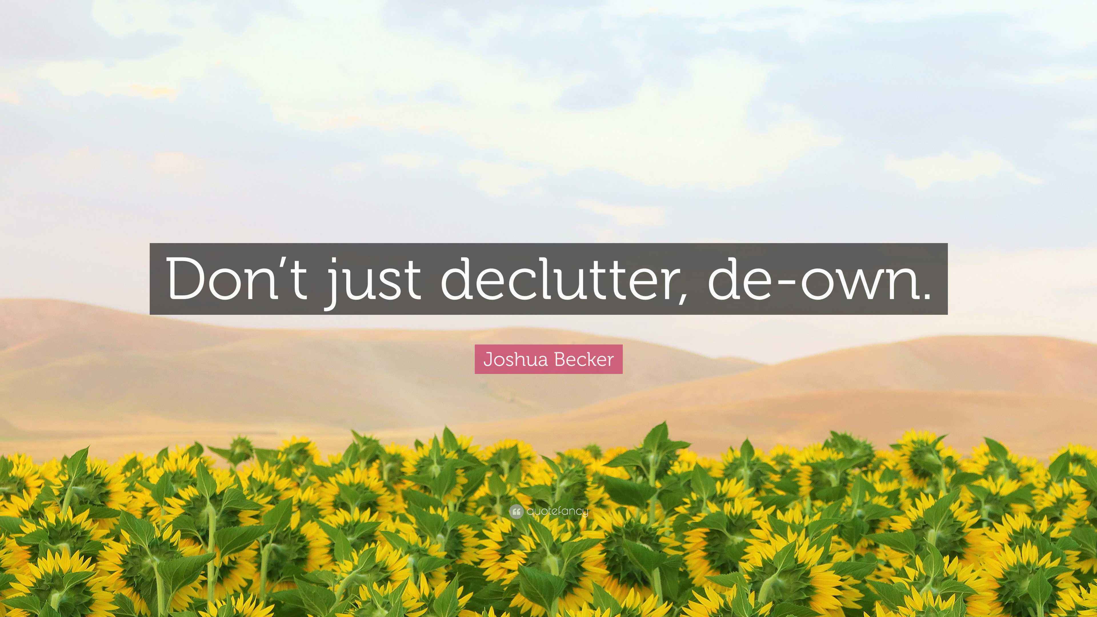 Joshua Becker Quote: “Don’t just declutter, de-own.”