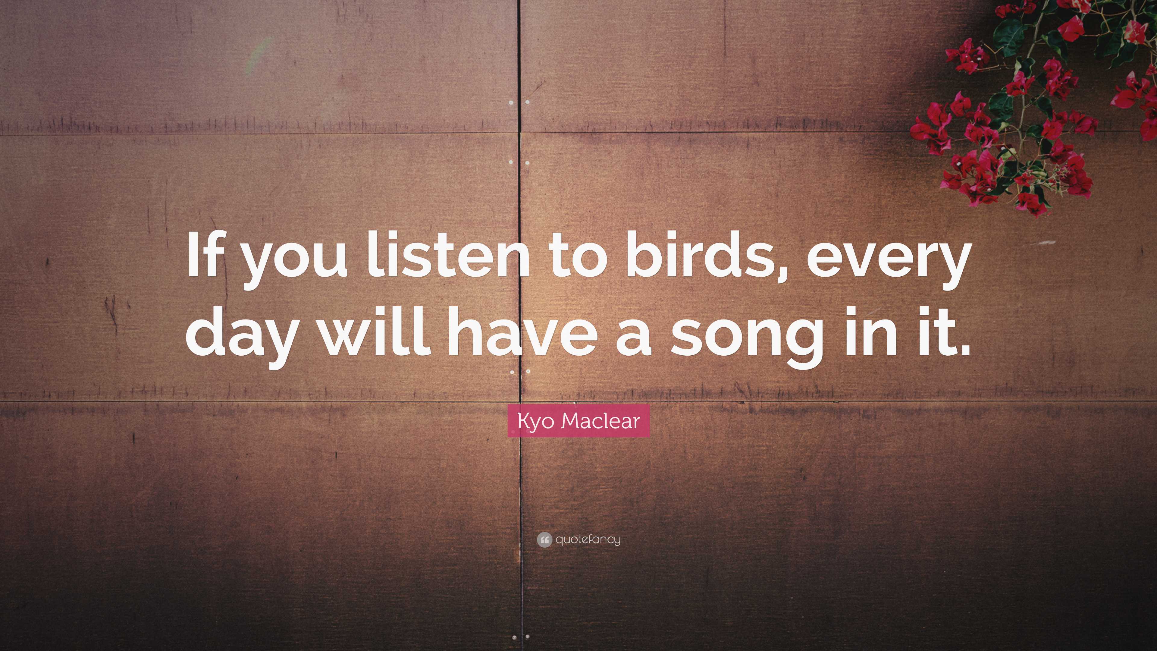 Kyo Maclear Quote: “If you listen to birds, every day will have a song ...