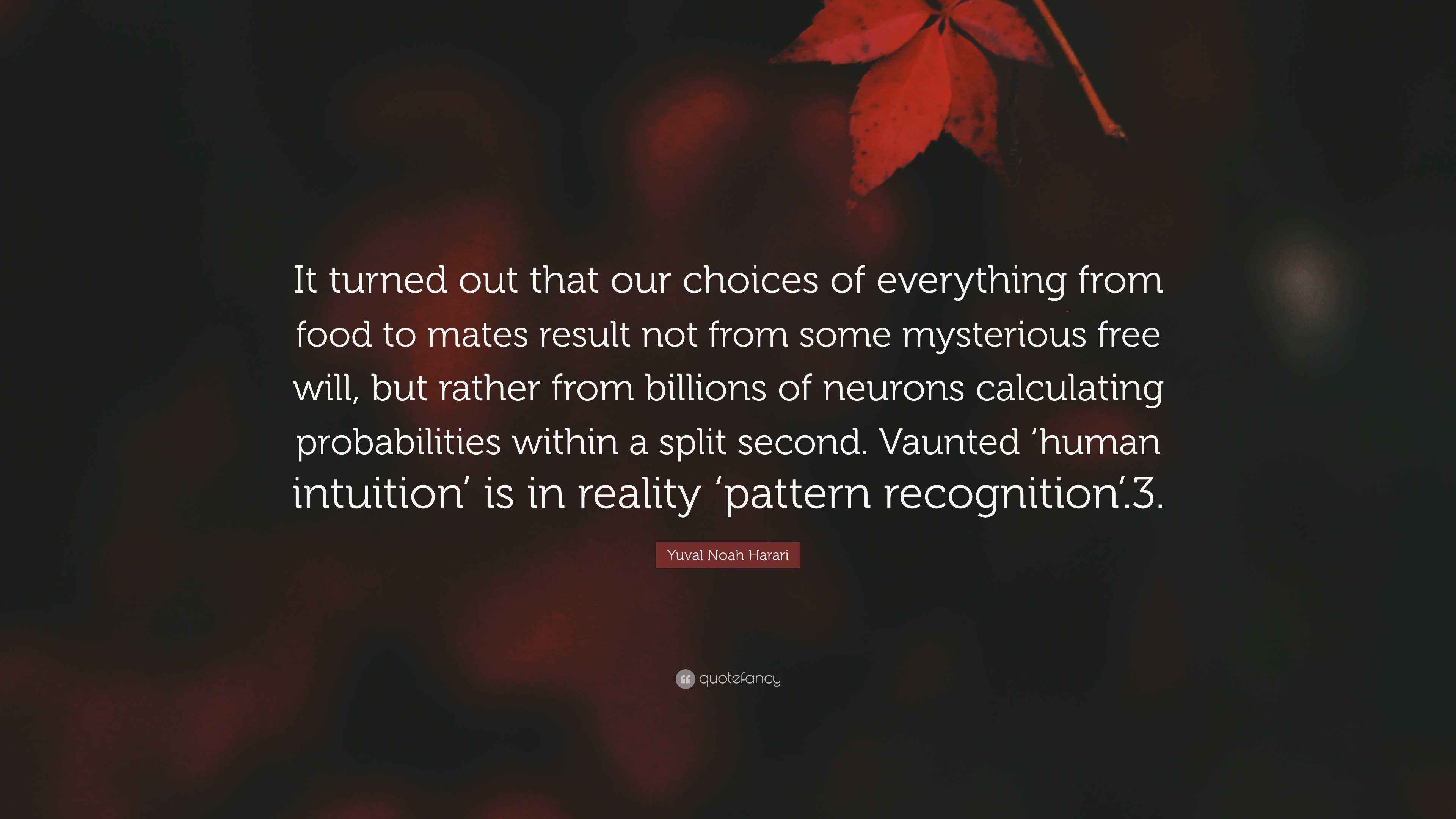 Yuval Noah Harari Quote: “It turned out that our choices of everything ...
