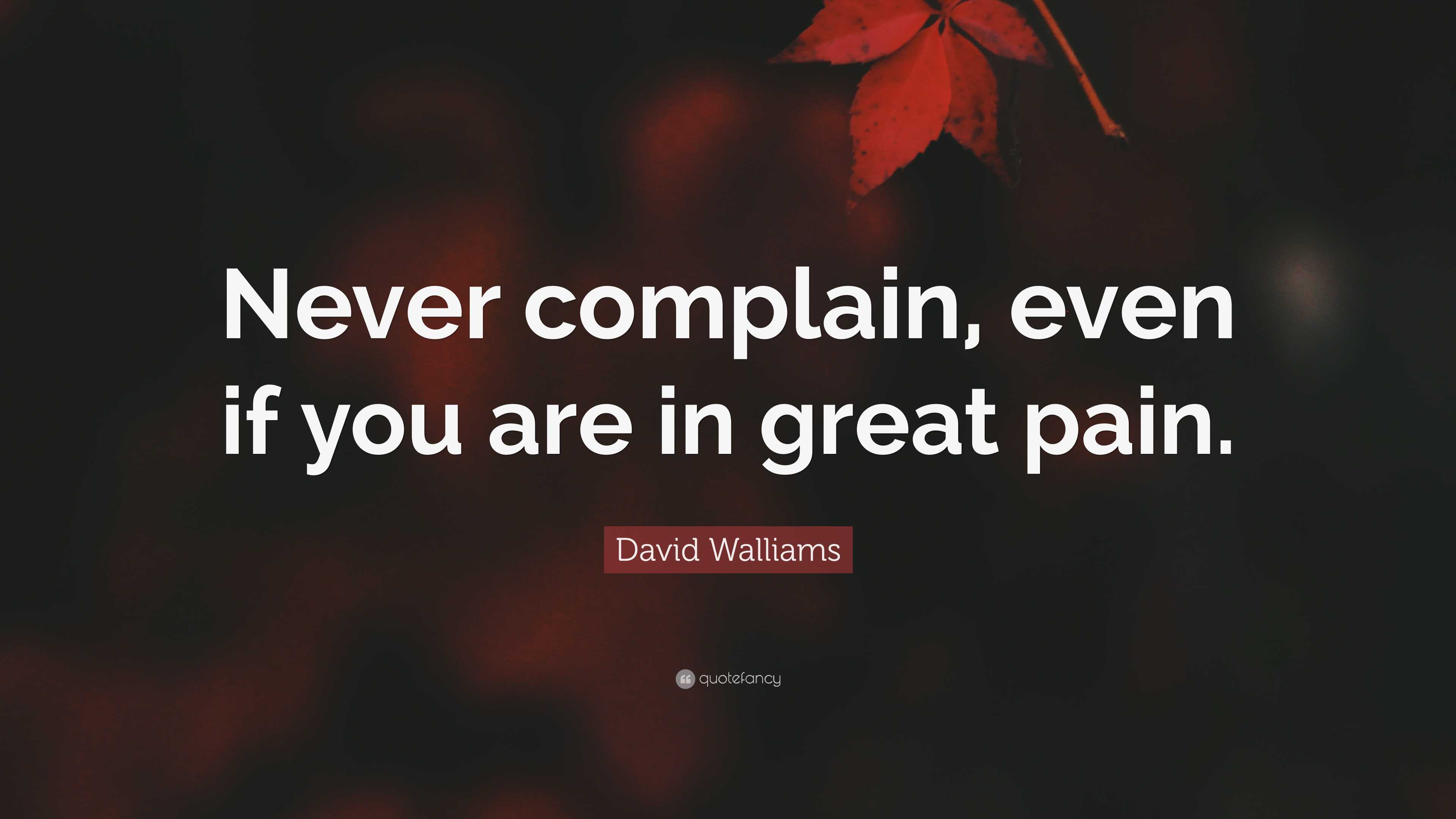 David Walliams Quote: “Never complain, even if you are in great pain.”