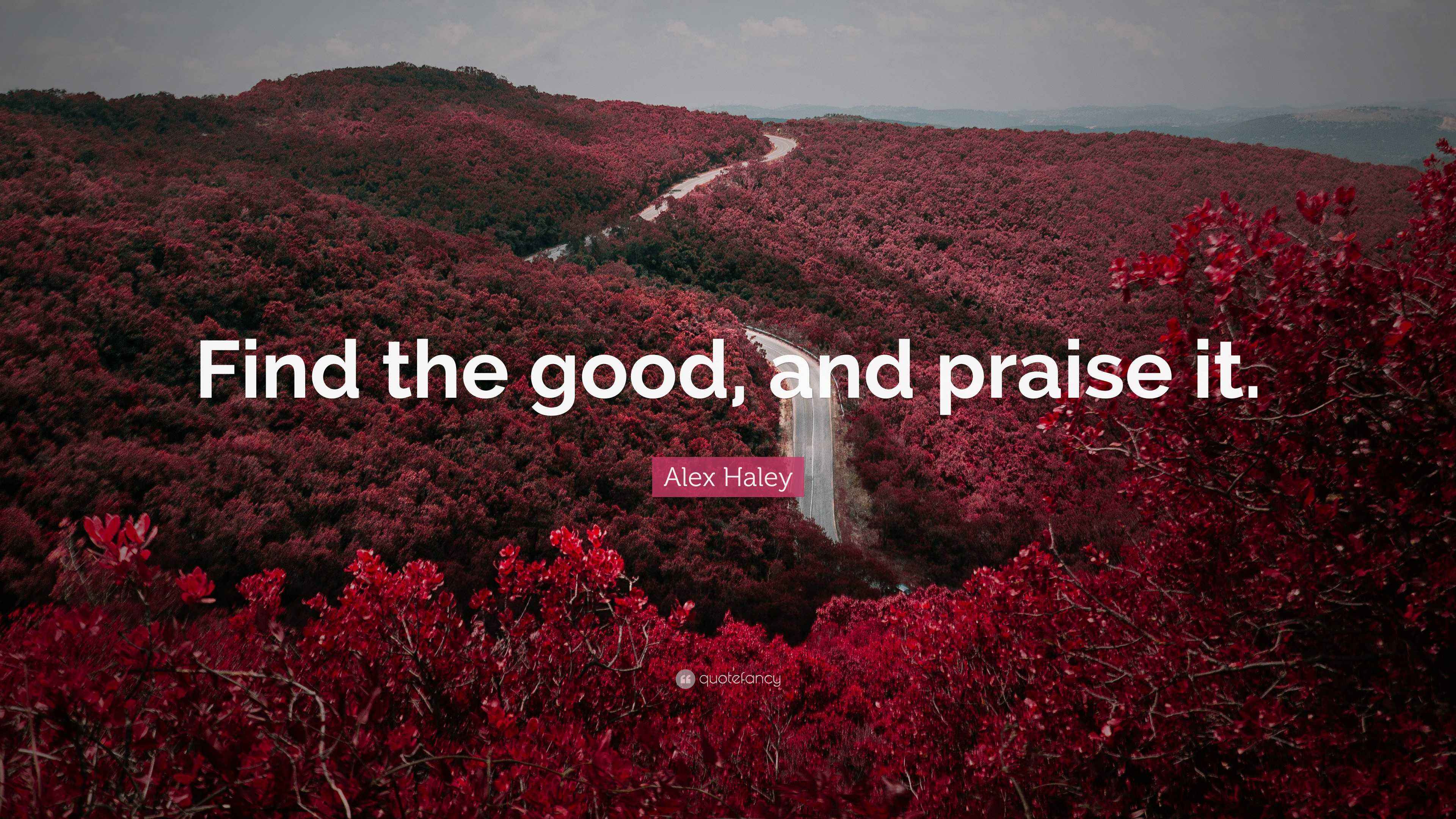 Alex Haley Quote: “Find the good, and praise it.”
