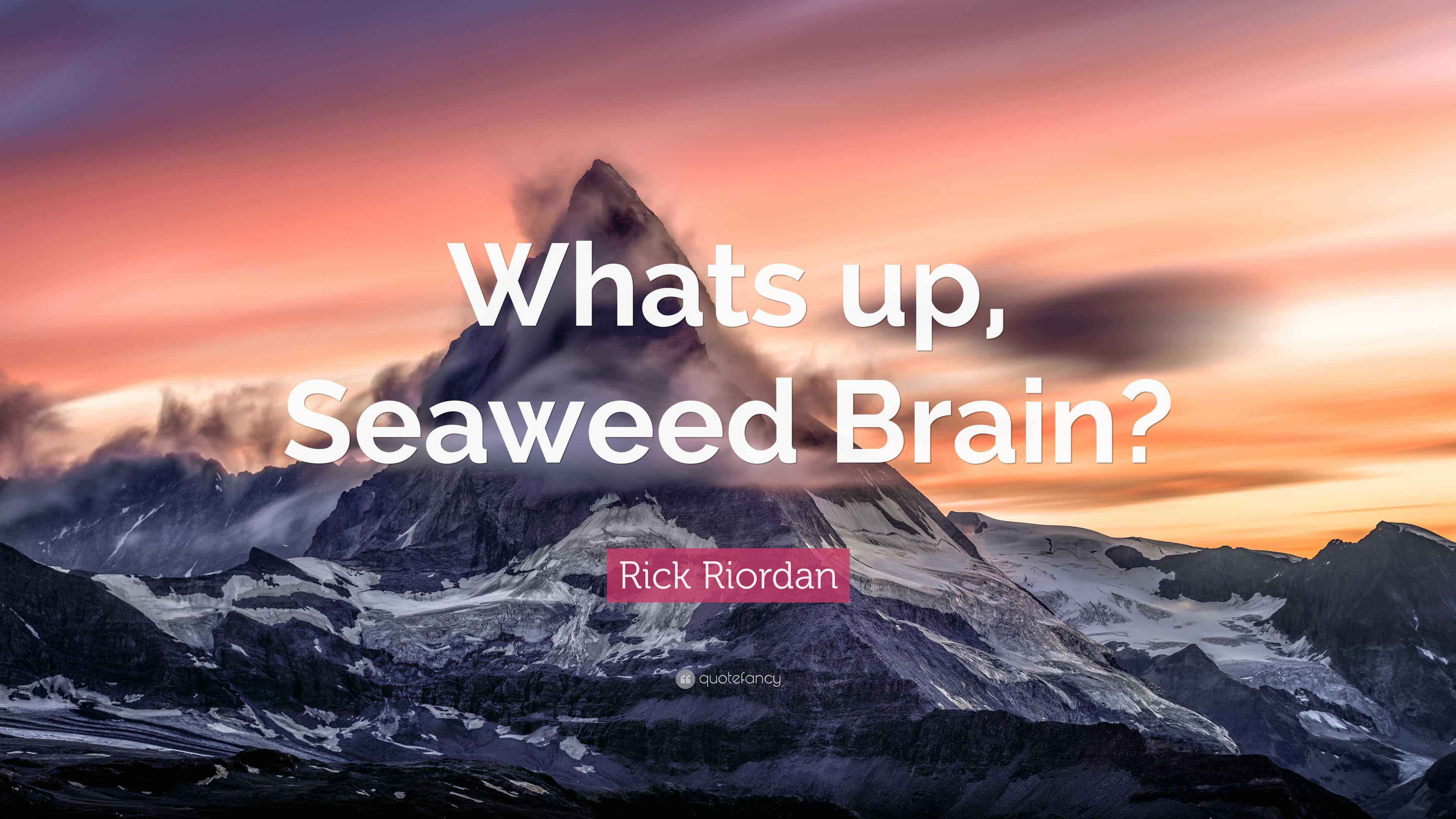 Rick Riordan Quote: “Whats up, Seaweed Brain?”